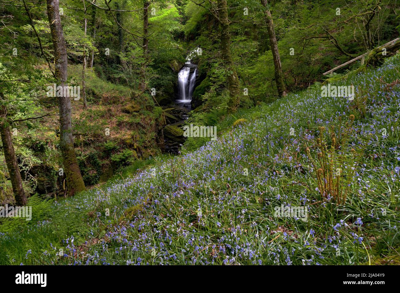 Cynfal waterfall hi-res stock photography and images - Alamy