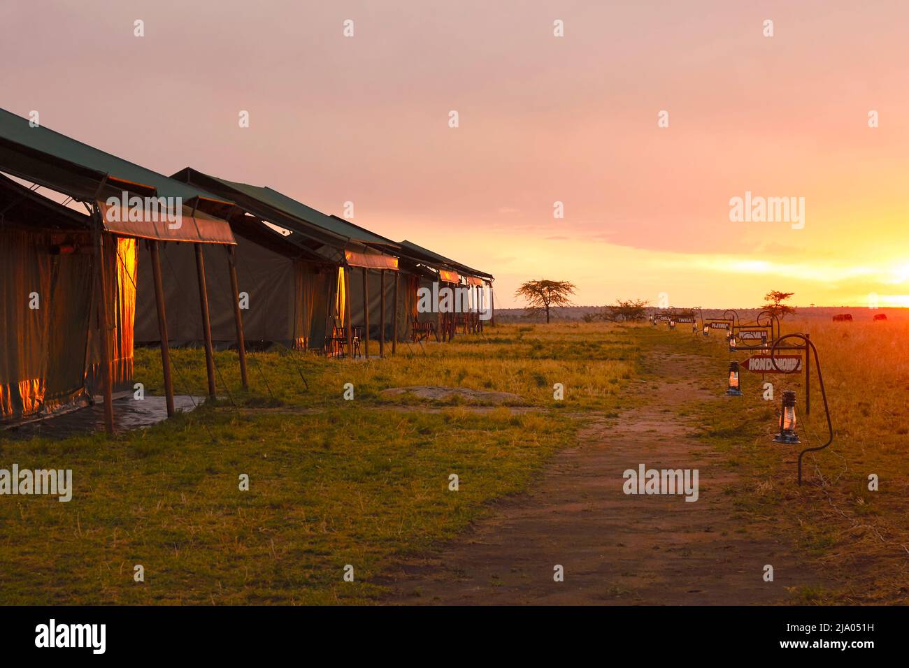 Tents of a mobile safari lodge at sunset, set up to follow the Great ...