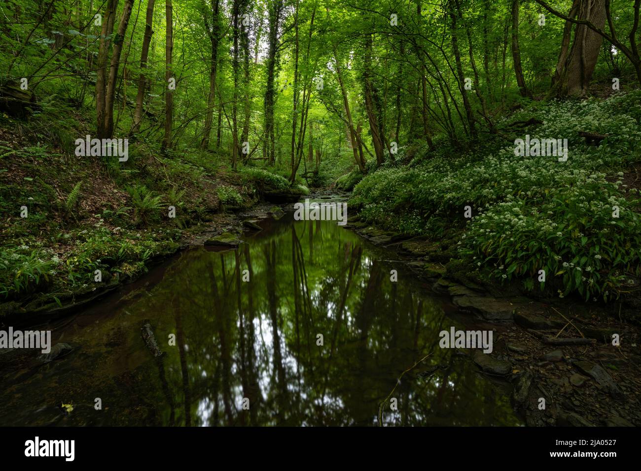 Wepre park hi-res stock photography and images - Alamy