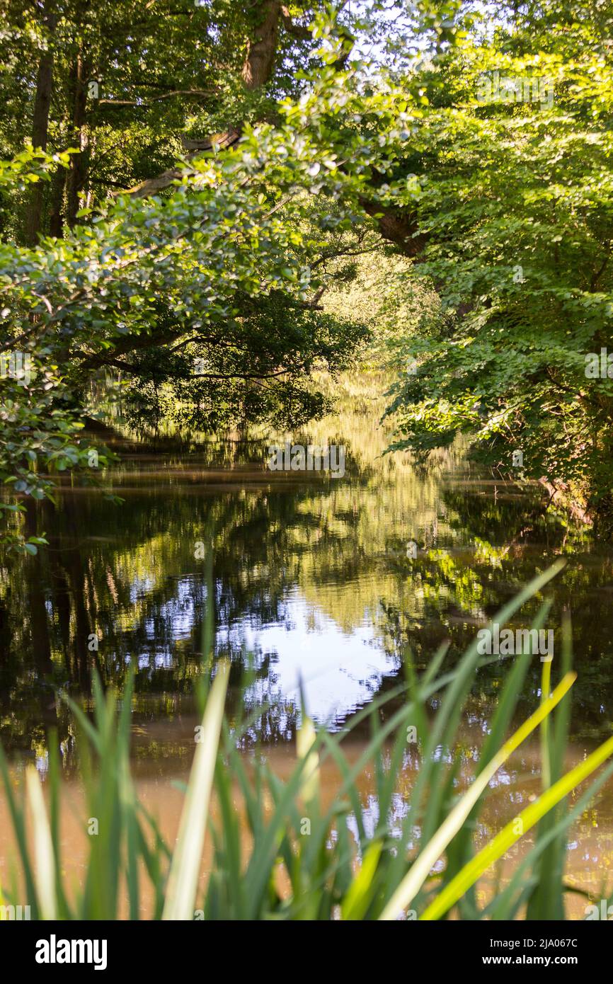 Brockhill park hythe hi-res stock photography and images - Alamy