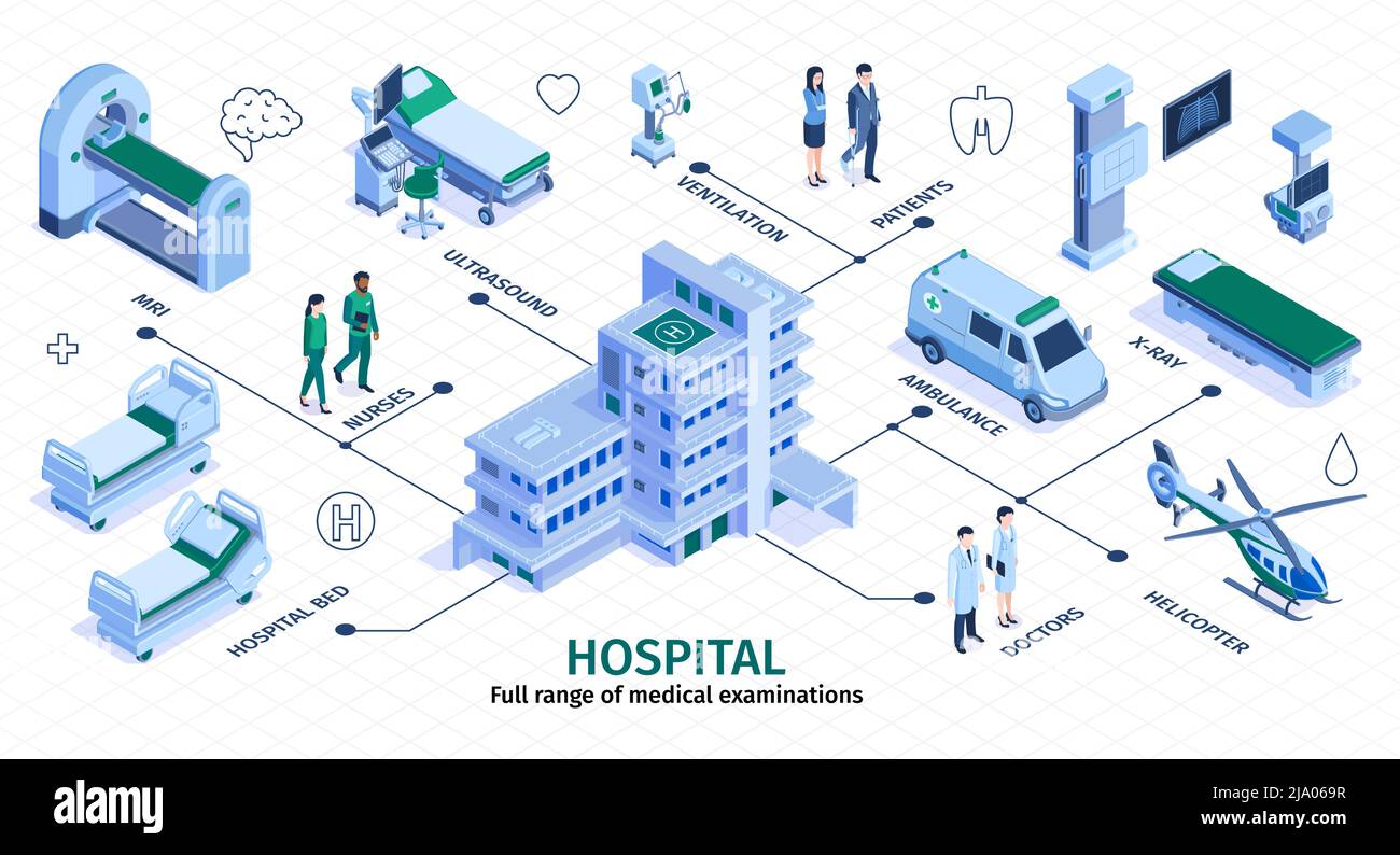 Hospital isometric infographic flowchart with diagnostic ultrasound ...