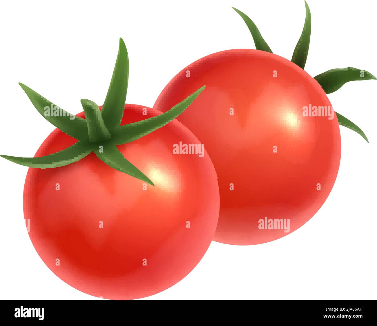 Fresh red tomatoes on white background realistic vector illustration ...