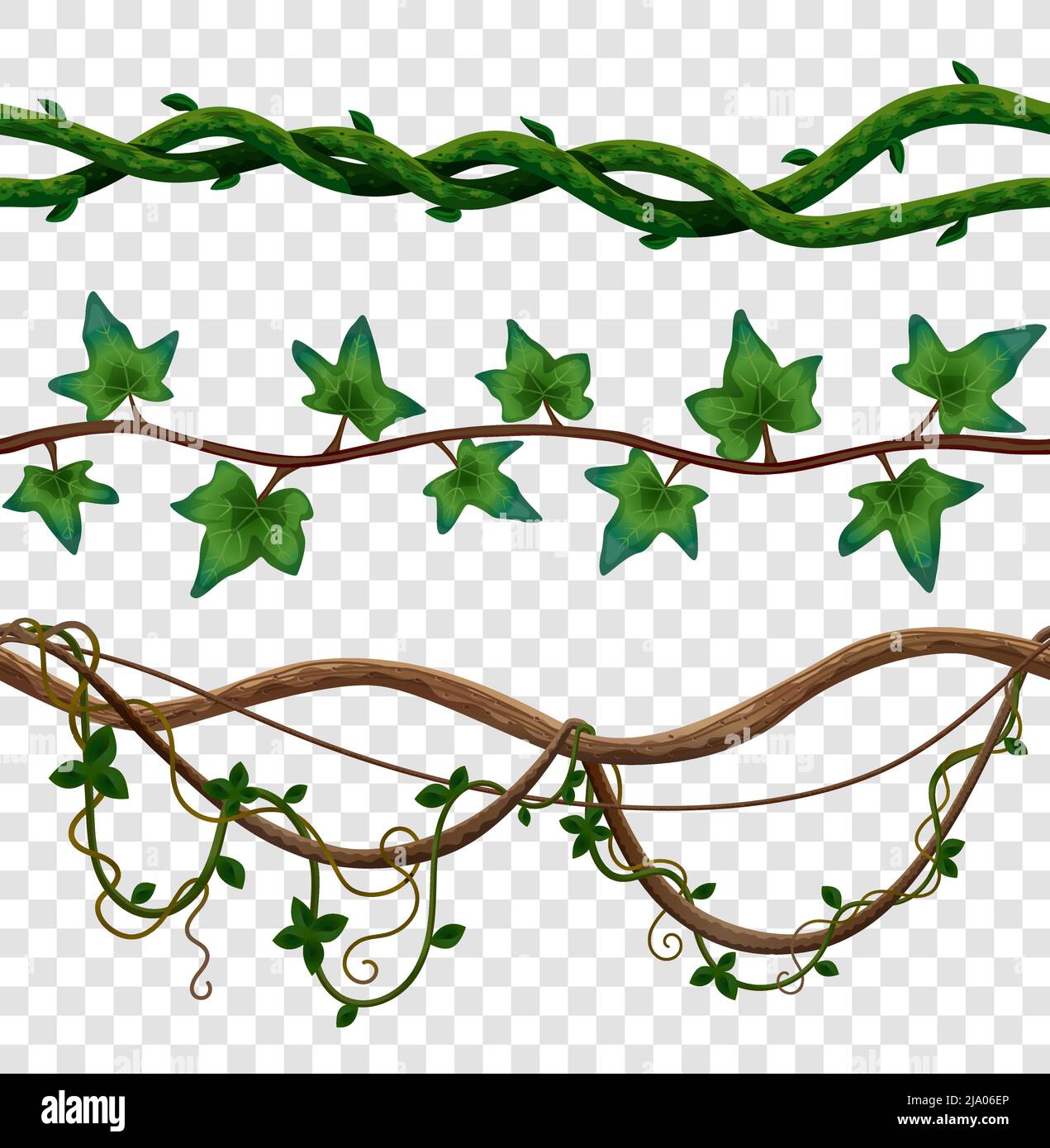 Liana seamless border set with isolated images of vine leaves on wooden ...