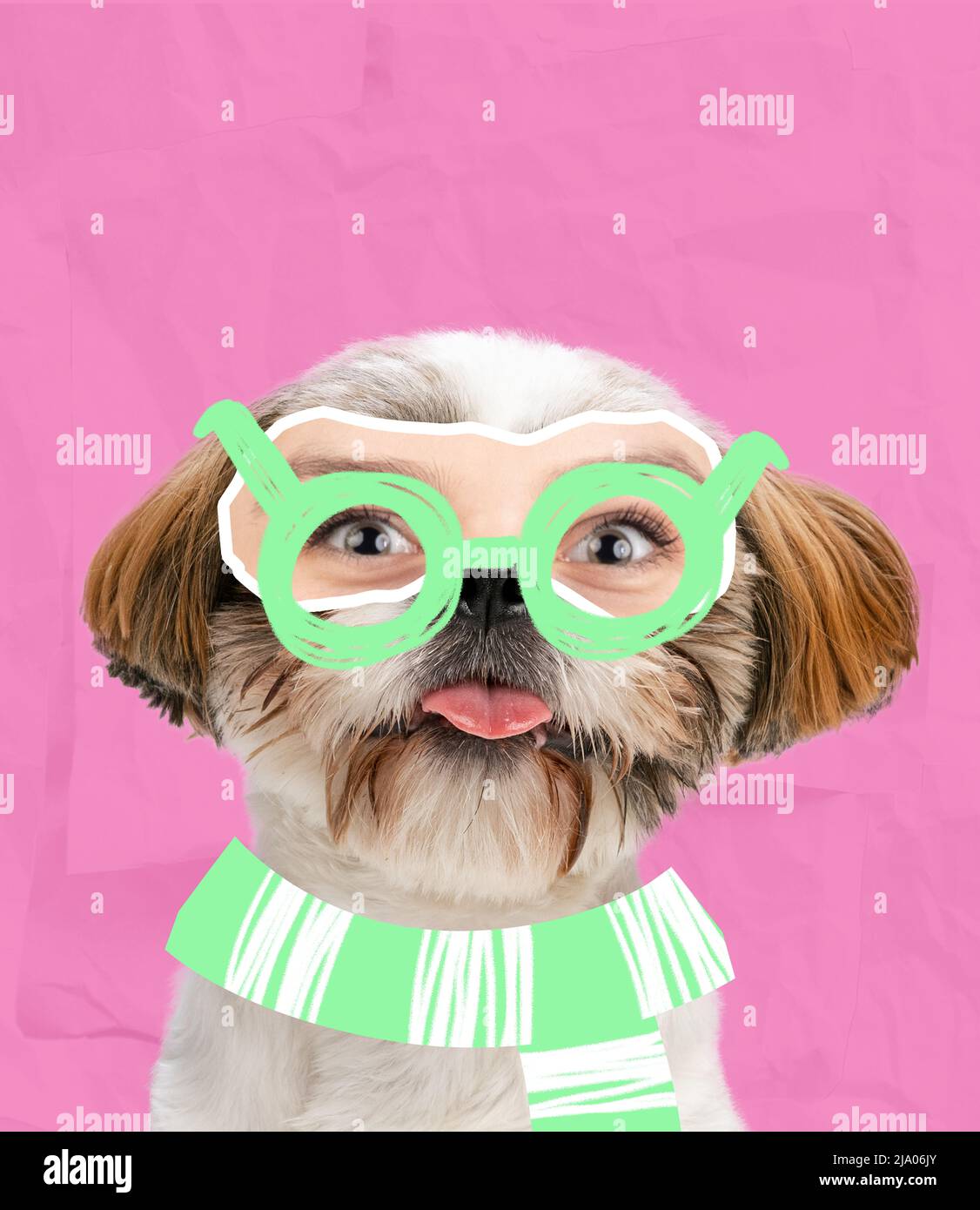 Contemporary art collage. Funny muzzle of shih tzu dog with human eyes ...