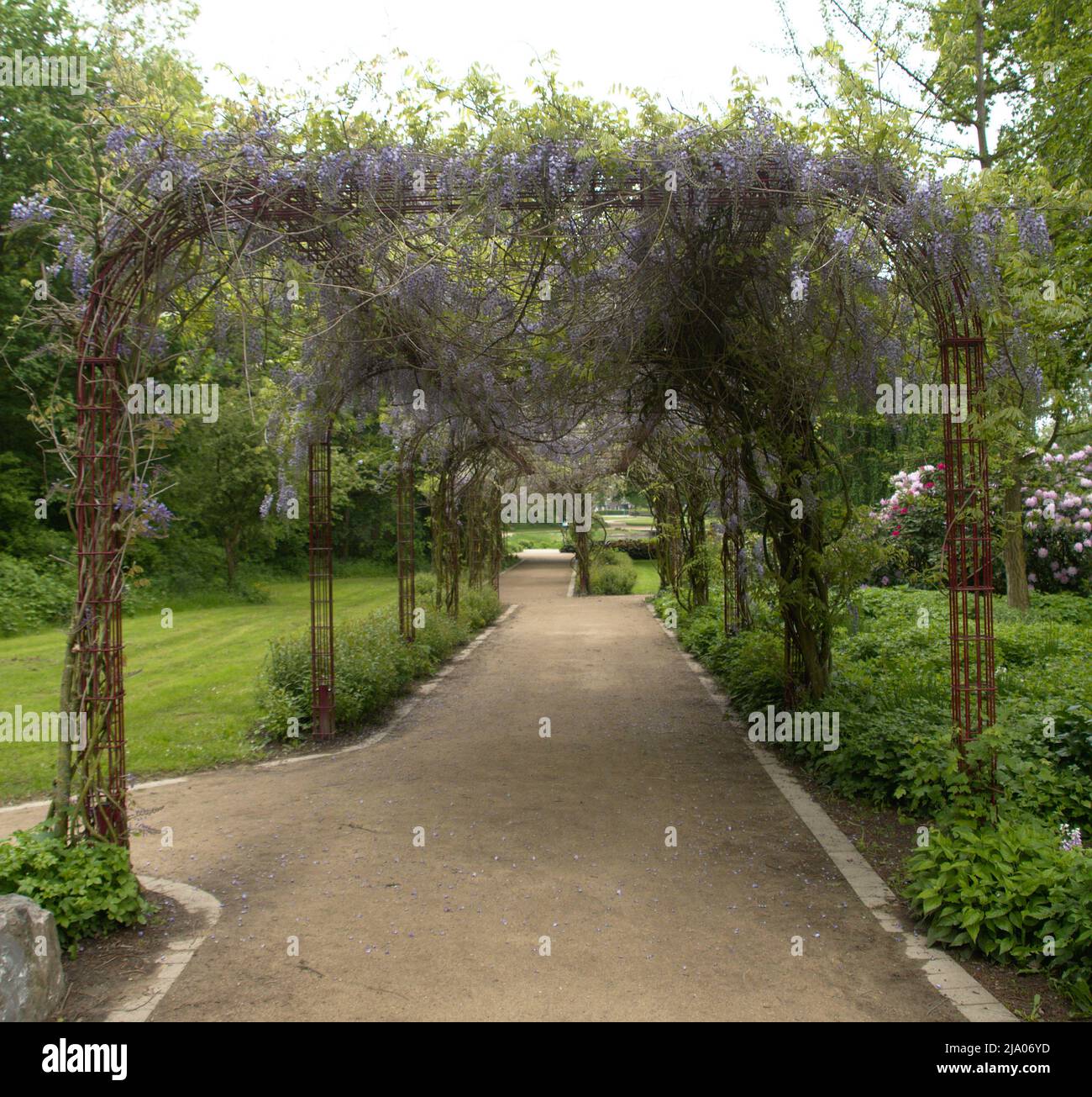 sunroof with violet flowers hanging green leaves poles red park Kurpak ...