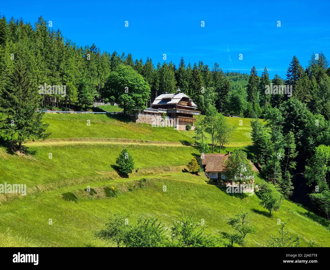 Panoramic view over the rolling hills of the black forest hi-res stock ...