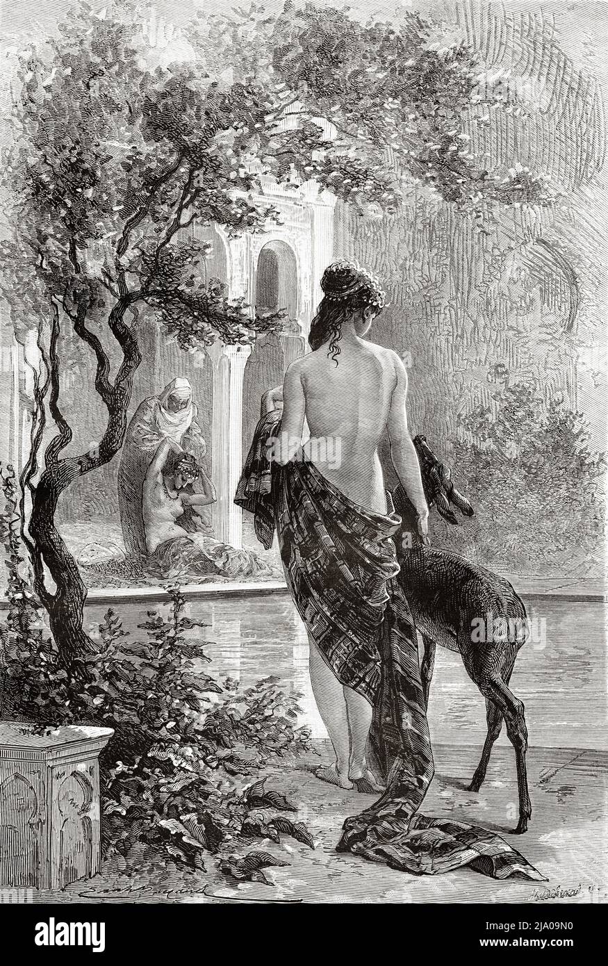 Harem africa women hi-res stock photography and images - Alamy