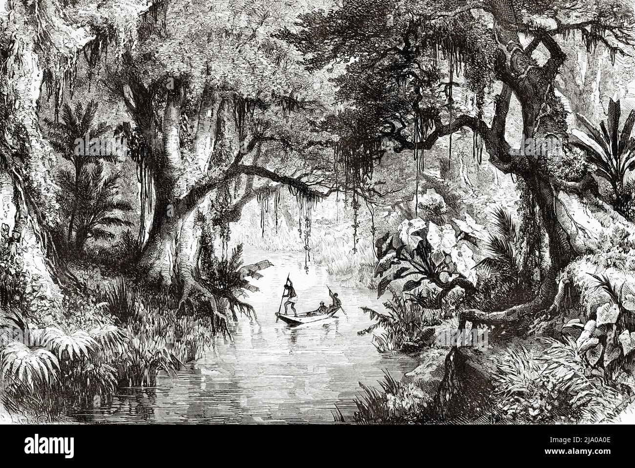 The Ravine du Sud is a river of Haiti. The river flows through the Pic ...