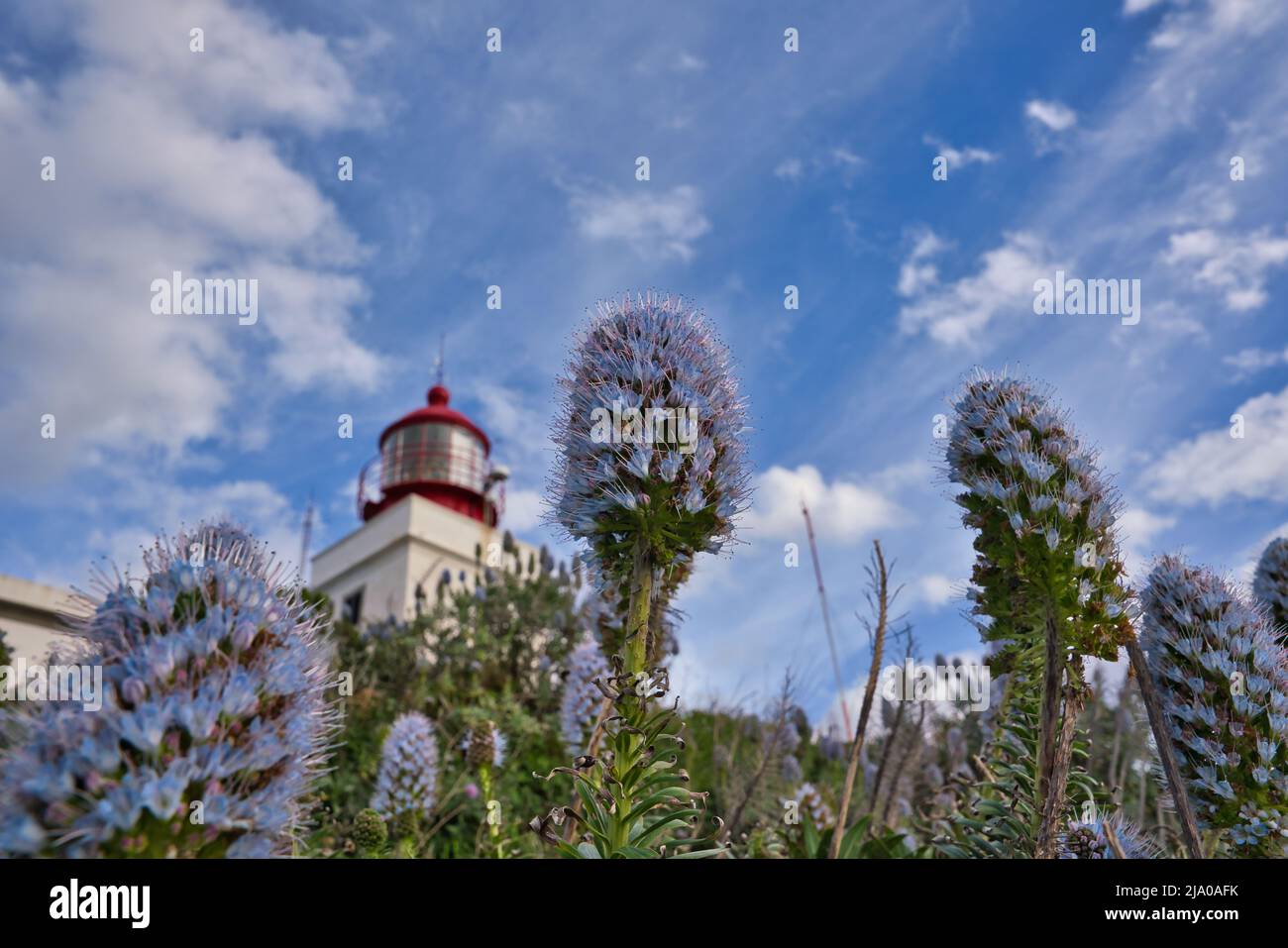 Farol da Ponta do Pargo Ilha da Madeira. Lighthouse Ponta do Pargo ...