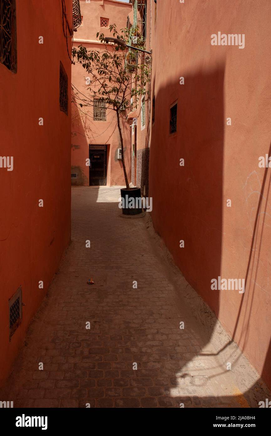Daily life scene in the traditional Medina and zoco streets of ...