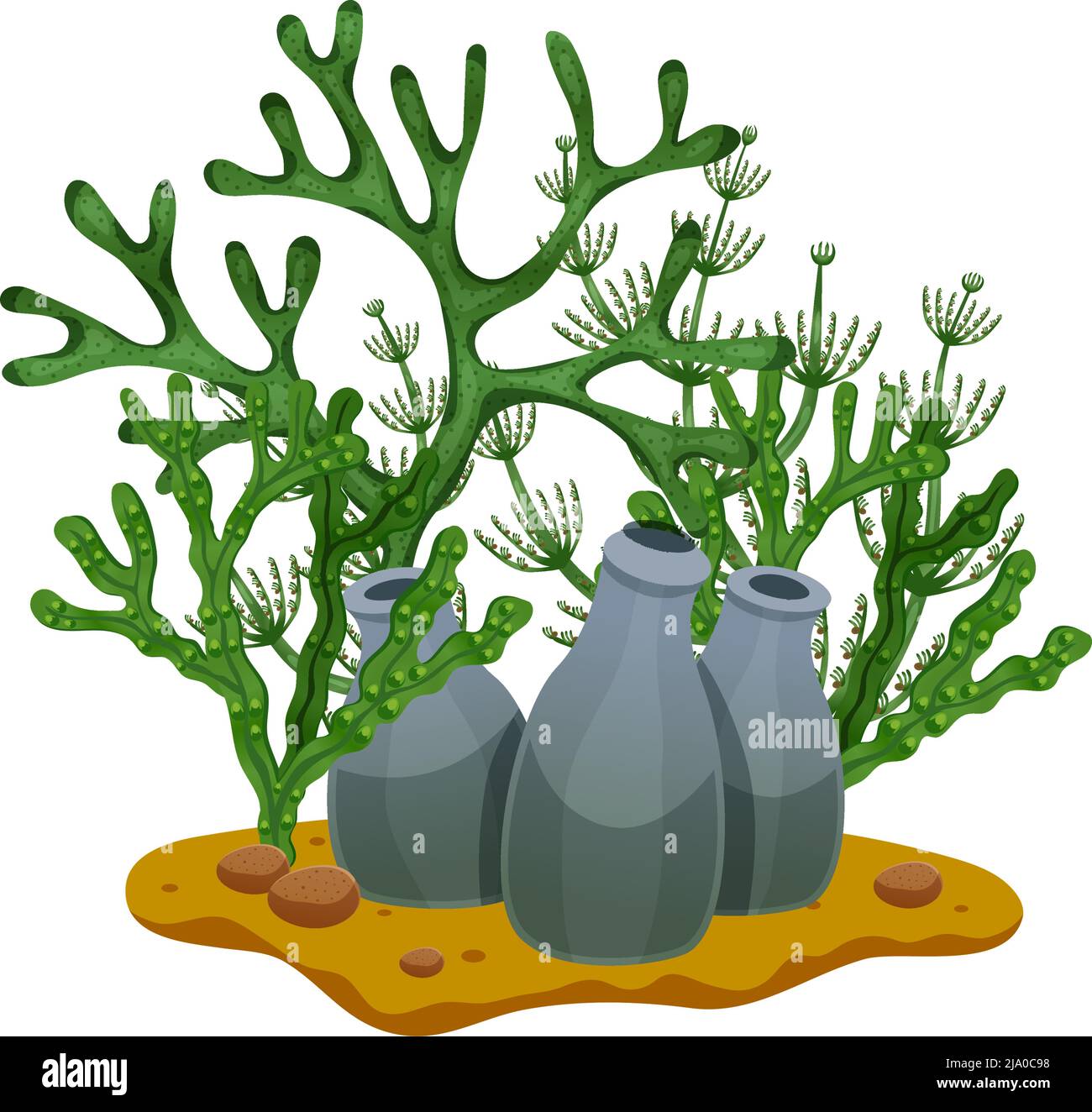 Green underwater seaweeds flat composition vector illustration Stock ...