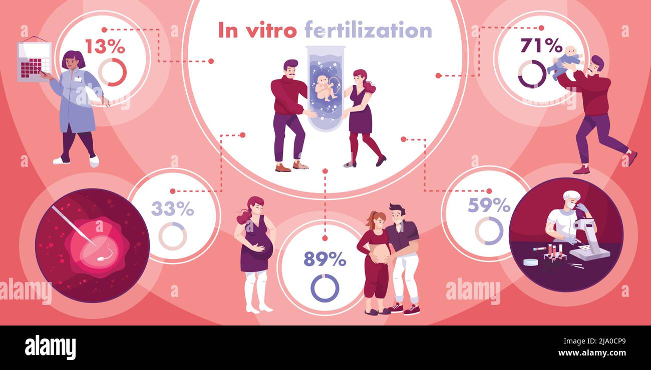 In vitro fertilization infographics with percentage graph captions and ...