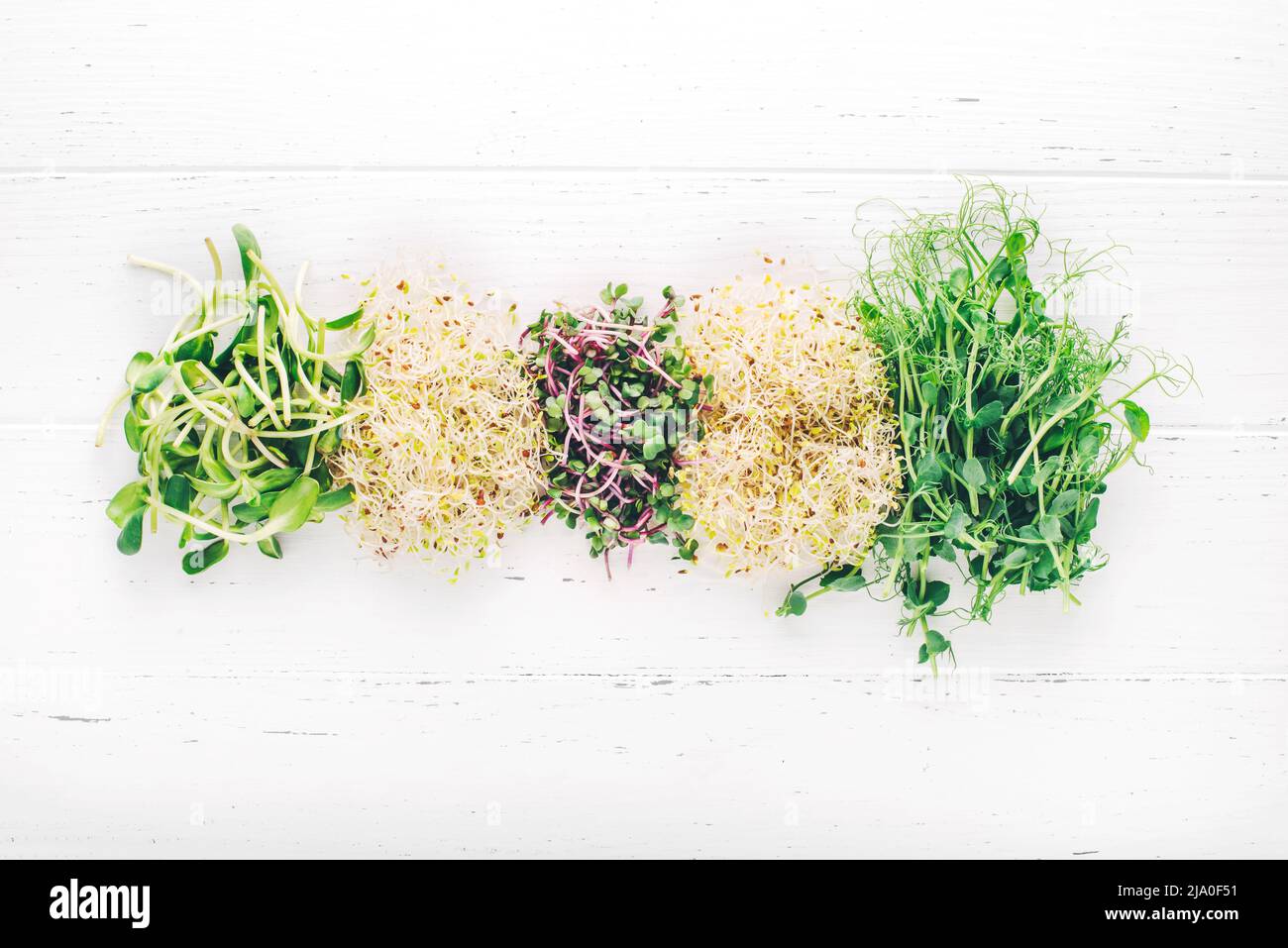 A set of different microgreens on white wooden background Stock Photo ...