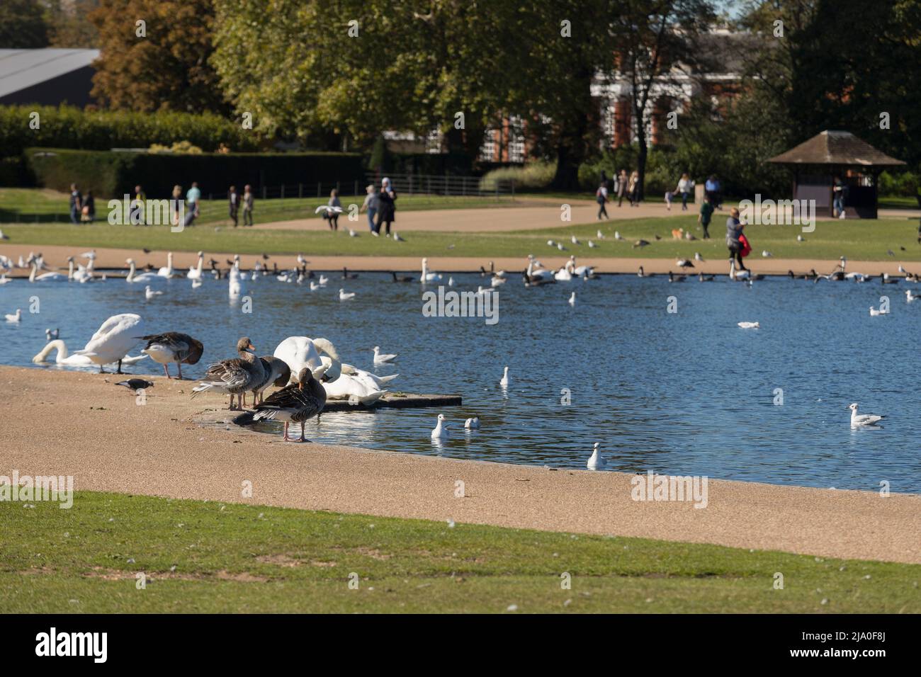 Kensignton park hi-res stock photography and images - Alamy