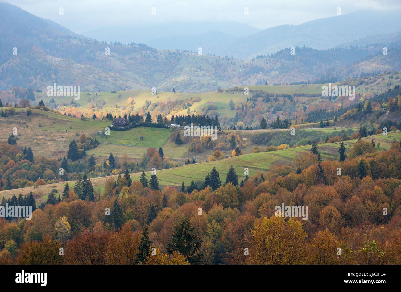 Cloudy and foggy morning autumn meadow scene. Peaceful picturesque ...