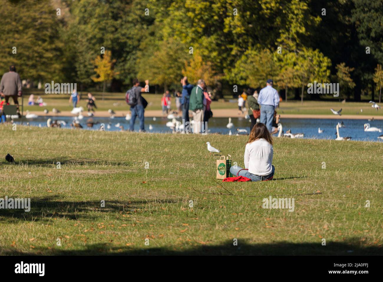 Kensignton park hi-res stock photography and images - Alamy
