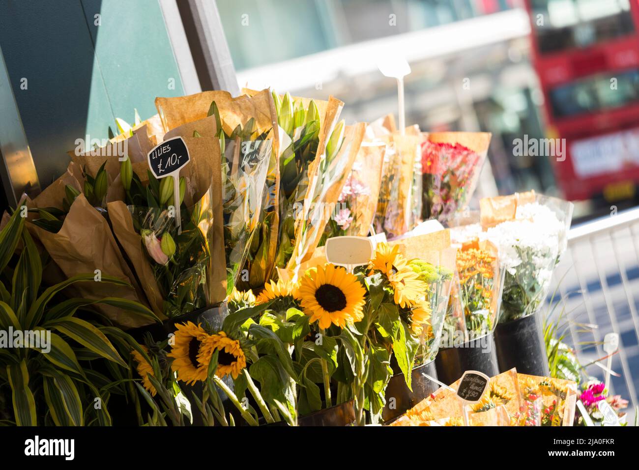 Andrew westfield hi-res stock photography and images - Alamy