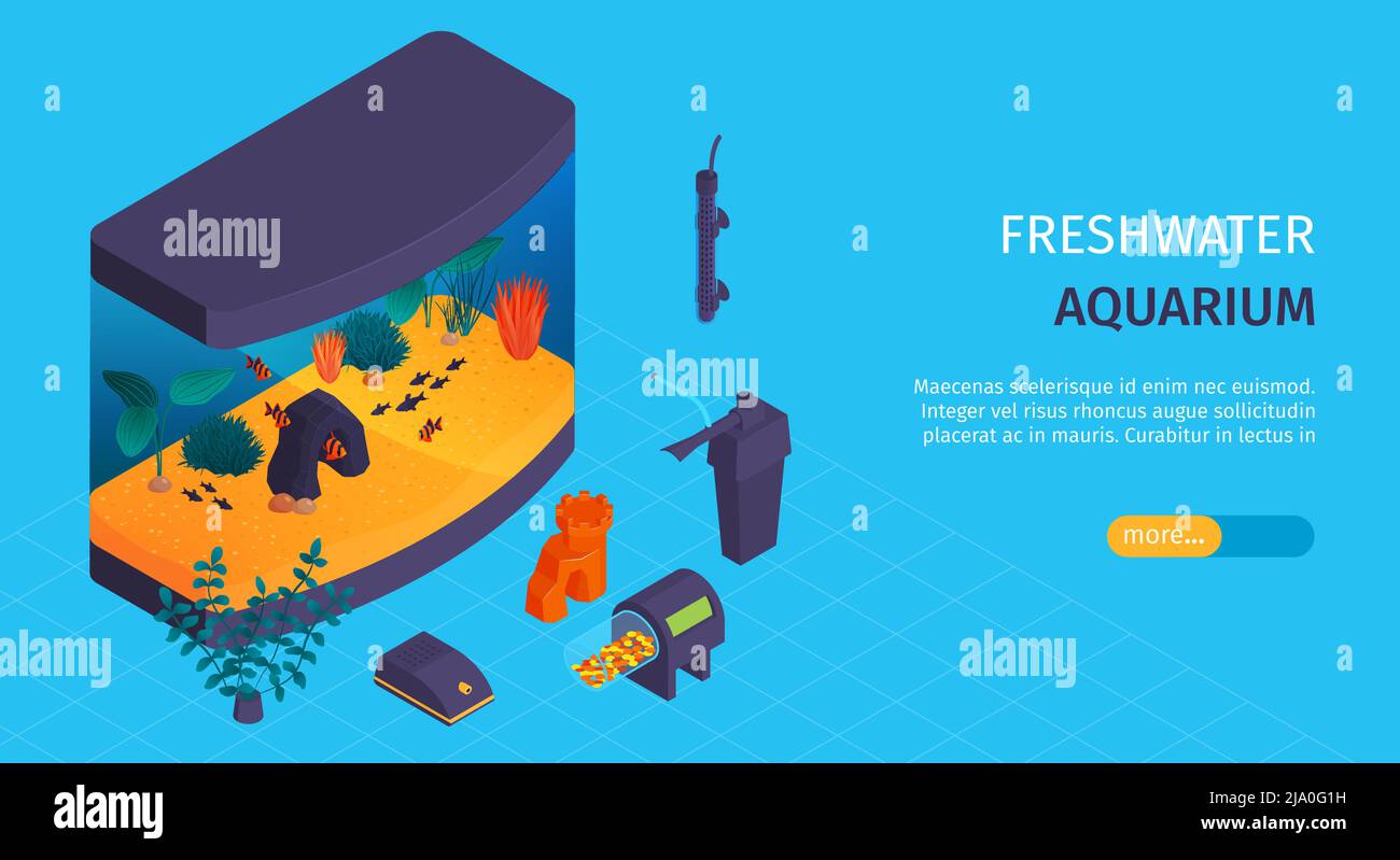 Freshwater aquarium aquatic life maintenance isometric horizontal ...