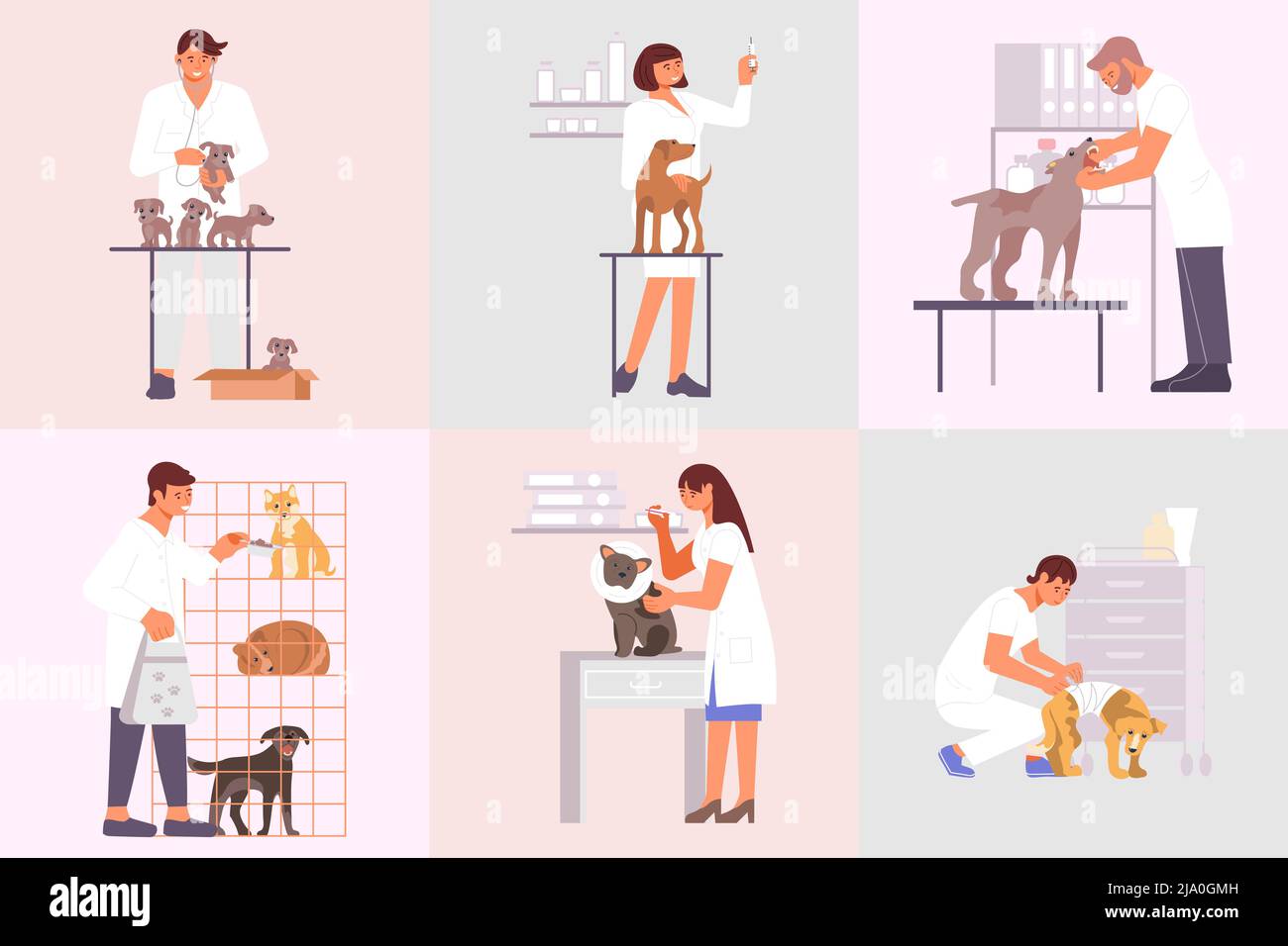 Veterinary clinic compositions set of flat animals and characters of ...