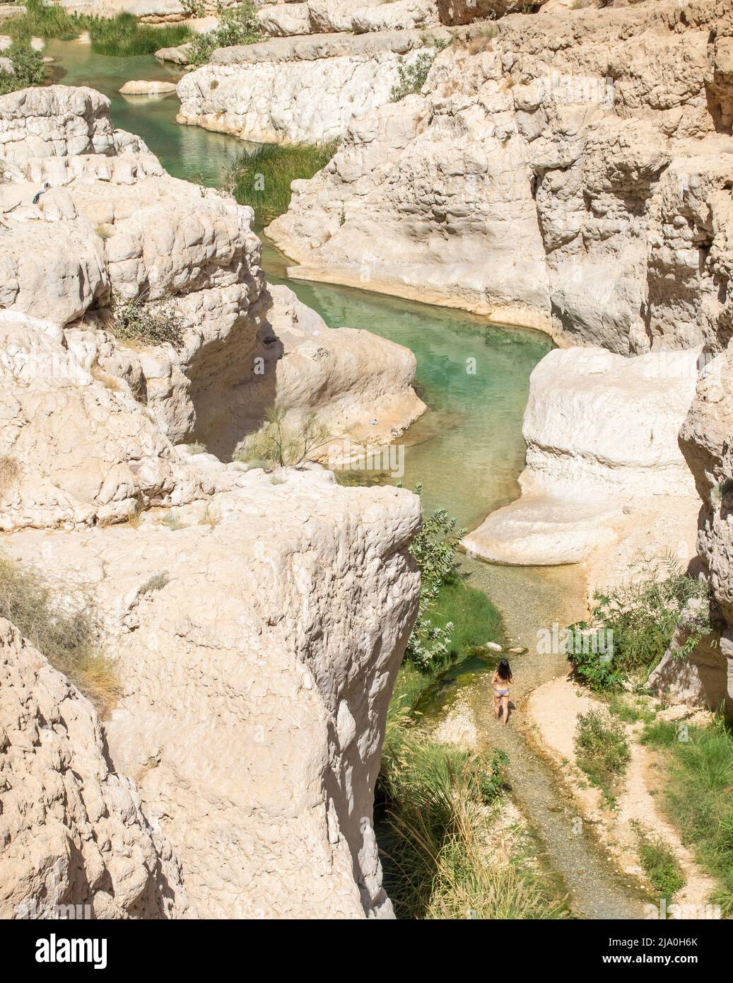 Famous of its vertical cliffs and the green water, Wadi Shab is one of ...