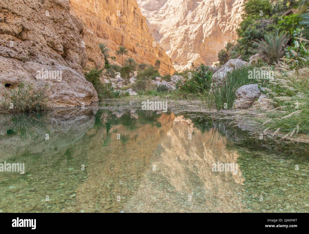 Famous of its vertical cliffs and the green water, Wadi Shab is one of ...