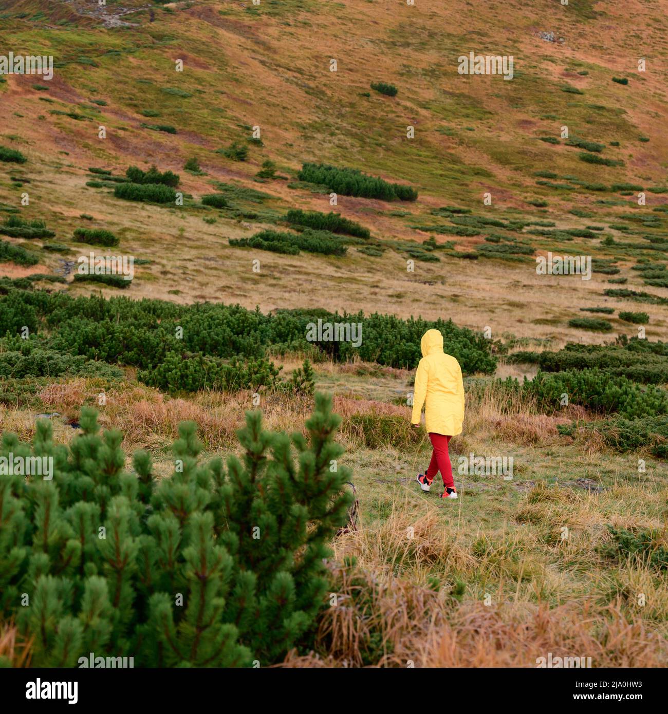 Mountain turkul hi-res stock photography and images - Alamy