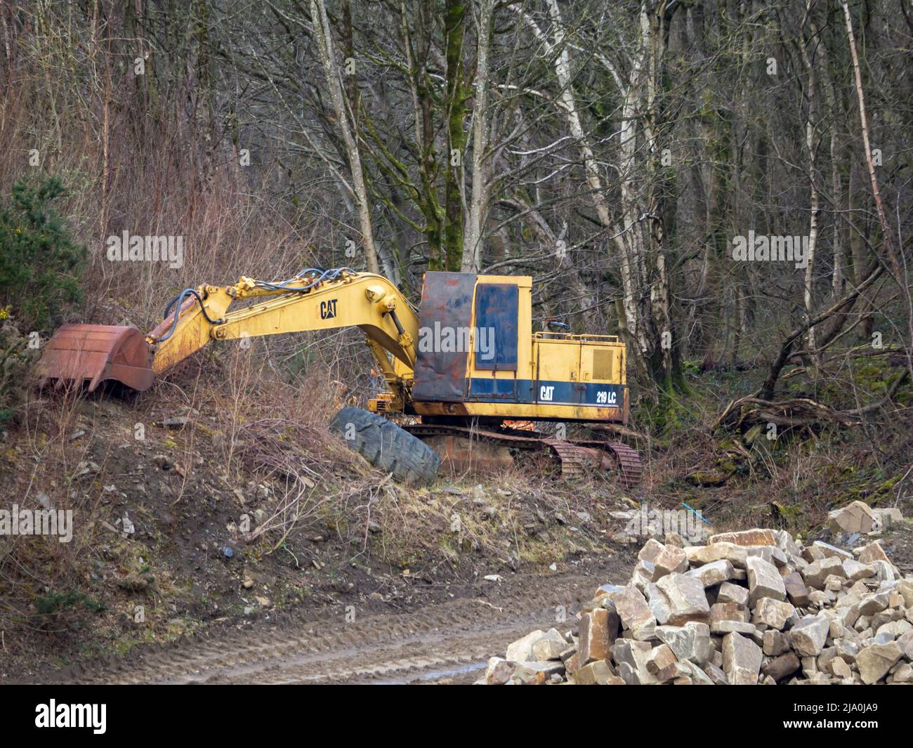 Cat digger abandoned in an old quarry Stock Photo - Alamy