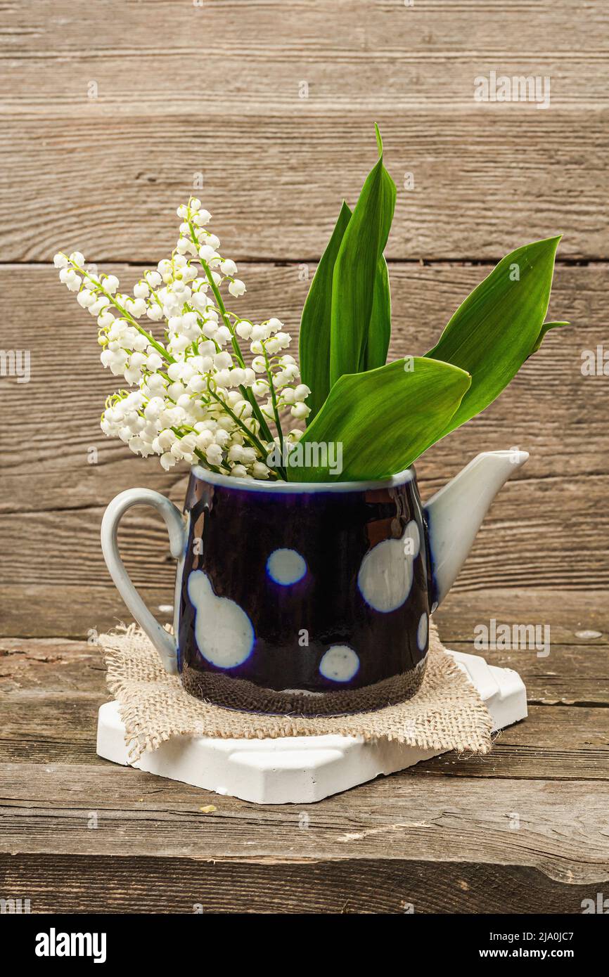 Lily valley flowers bouquet with green leaves. Nature object for the ...