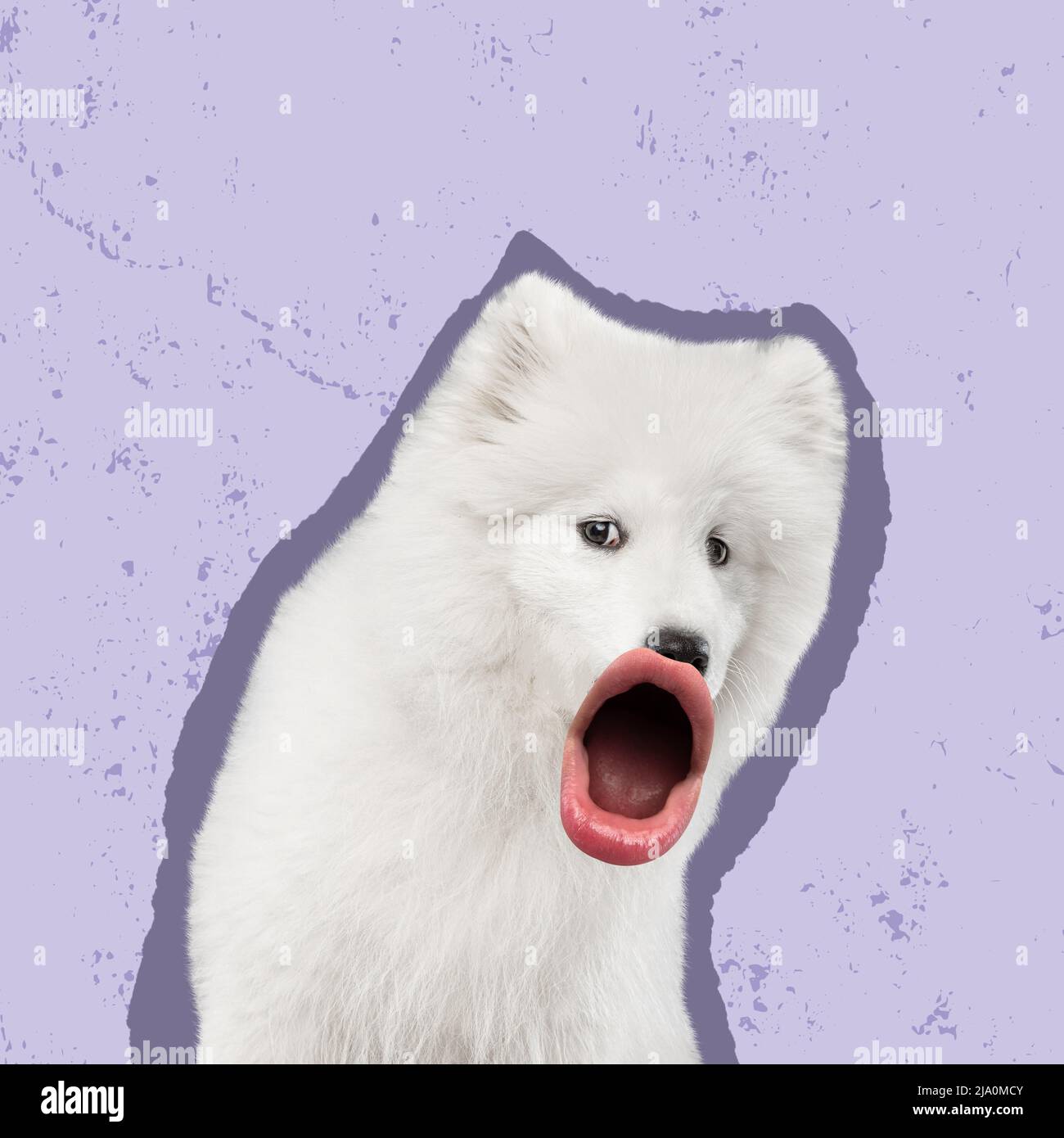 Contemporary art collage. Cute dog with human mouth element isolated ...
