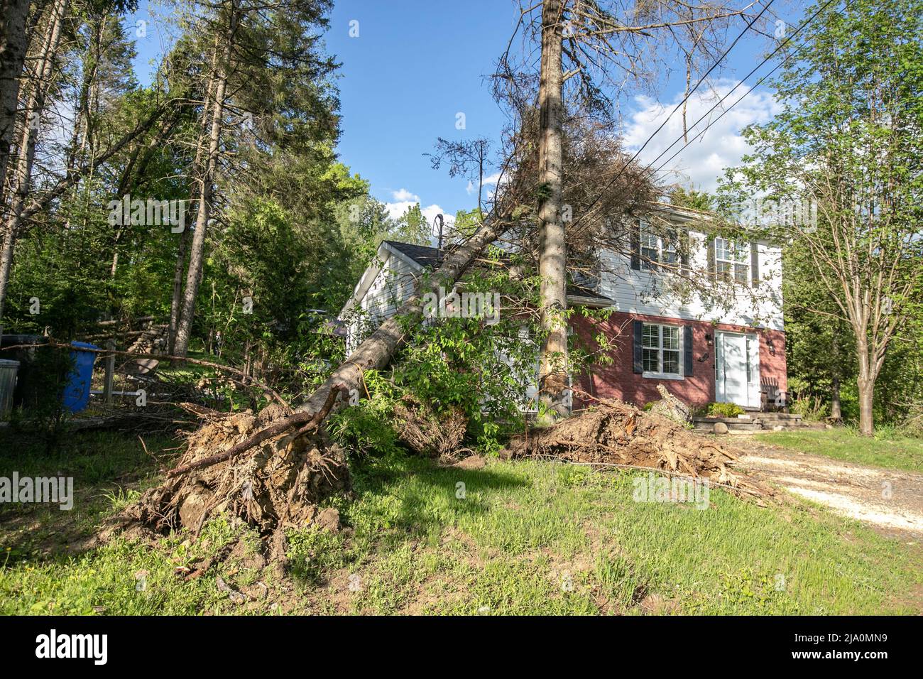 Destruction left behind after the wind storm Stock Photo - Alamy