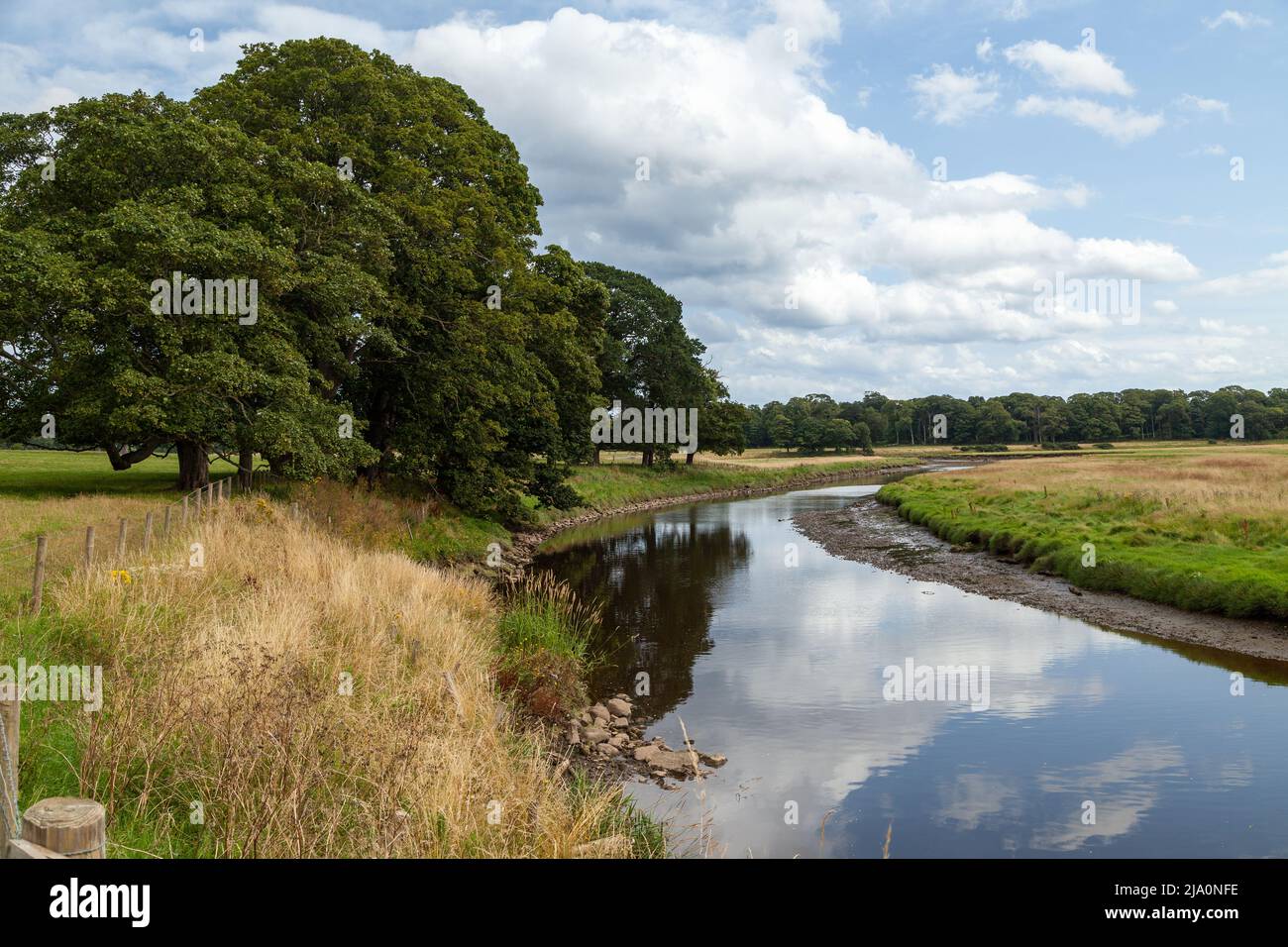 River Tyne in Tyninghame Estate, East Lothian Stock Photo - Alamy