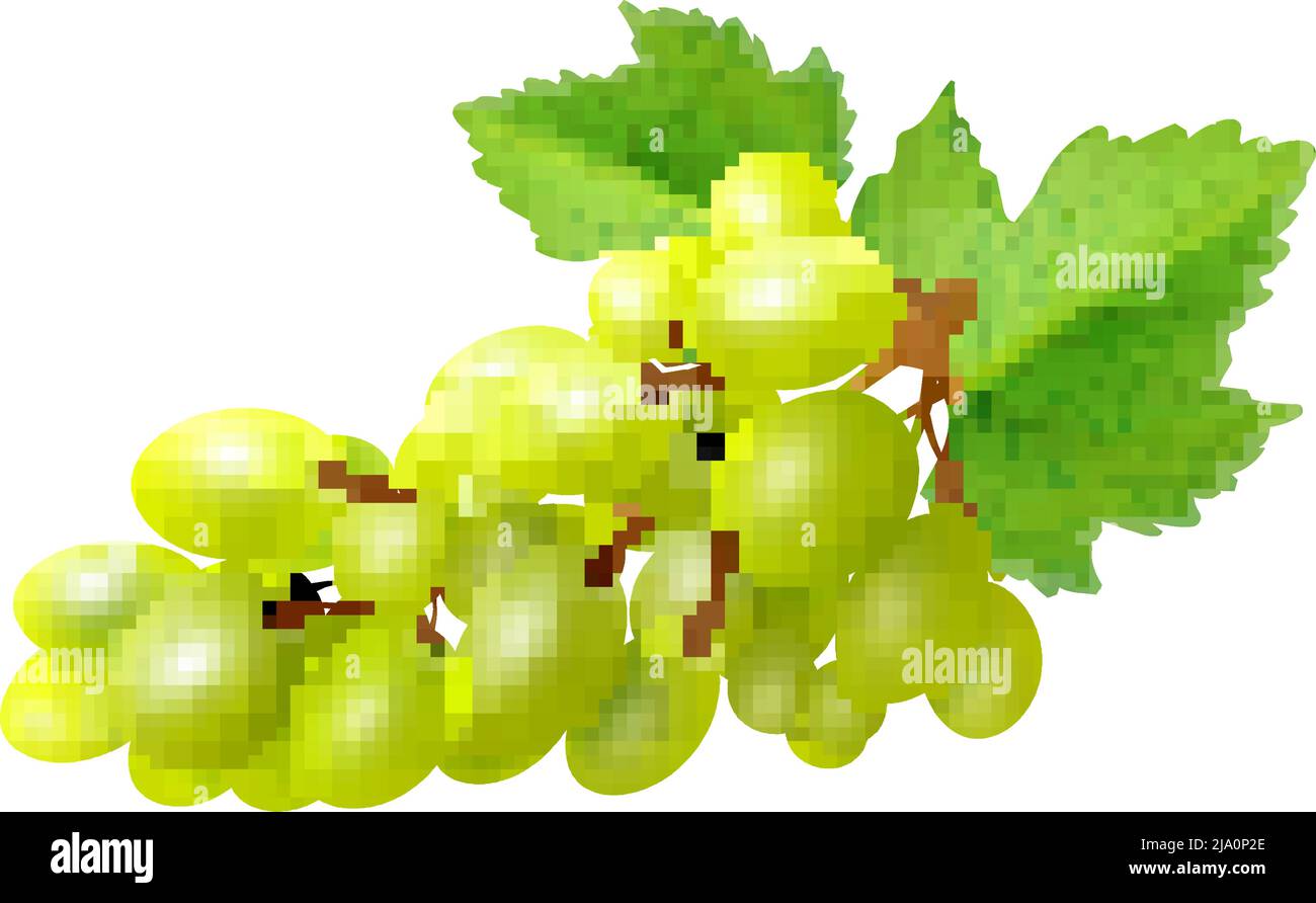 Realistic bunch of grapes with green leaves vector illustration Stock ...