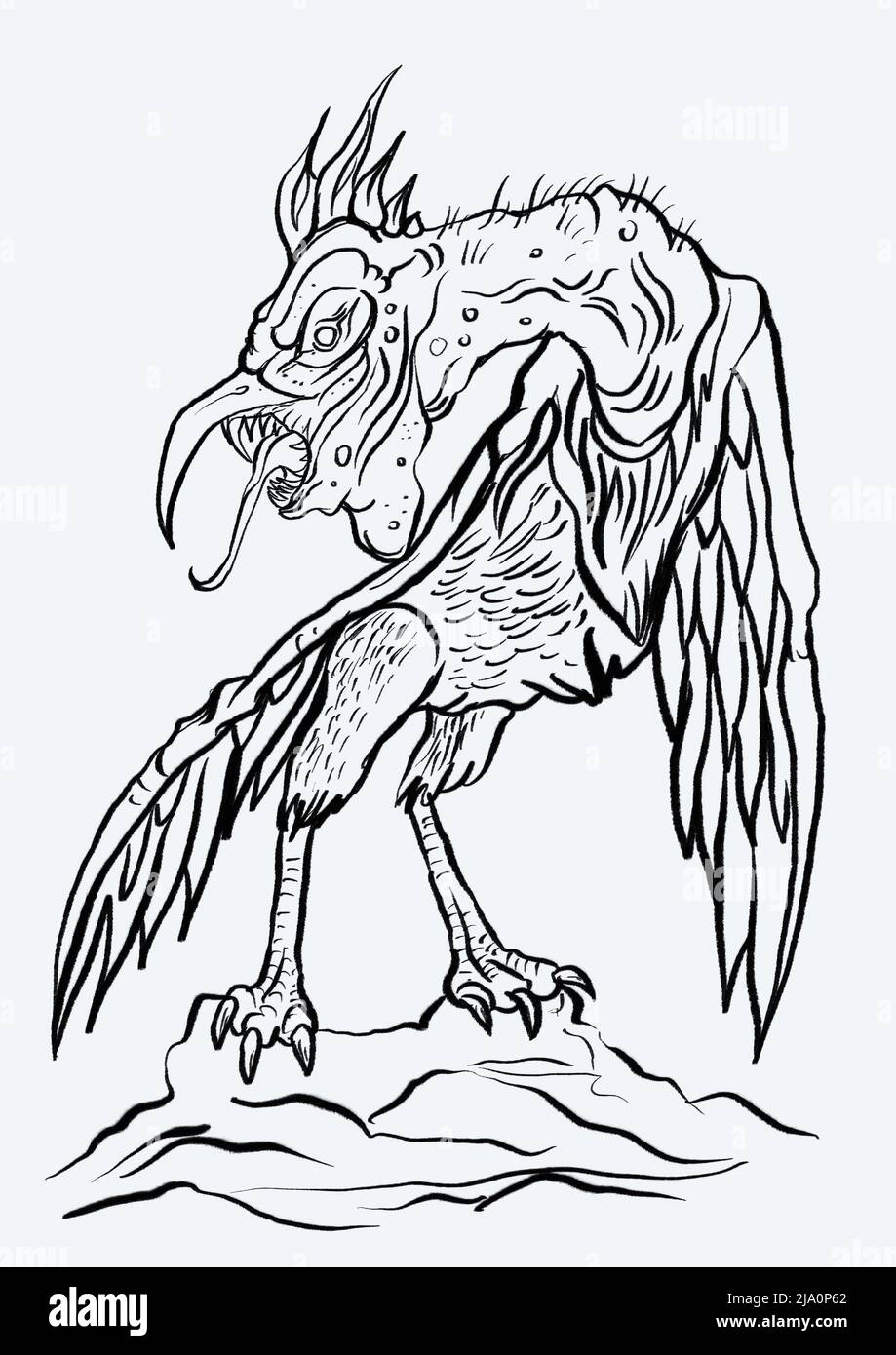 cockatrice hand drawn illustration Stock Photo - Alamy