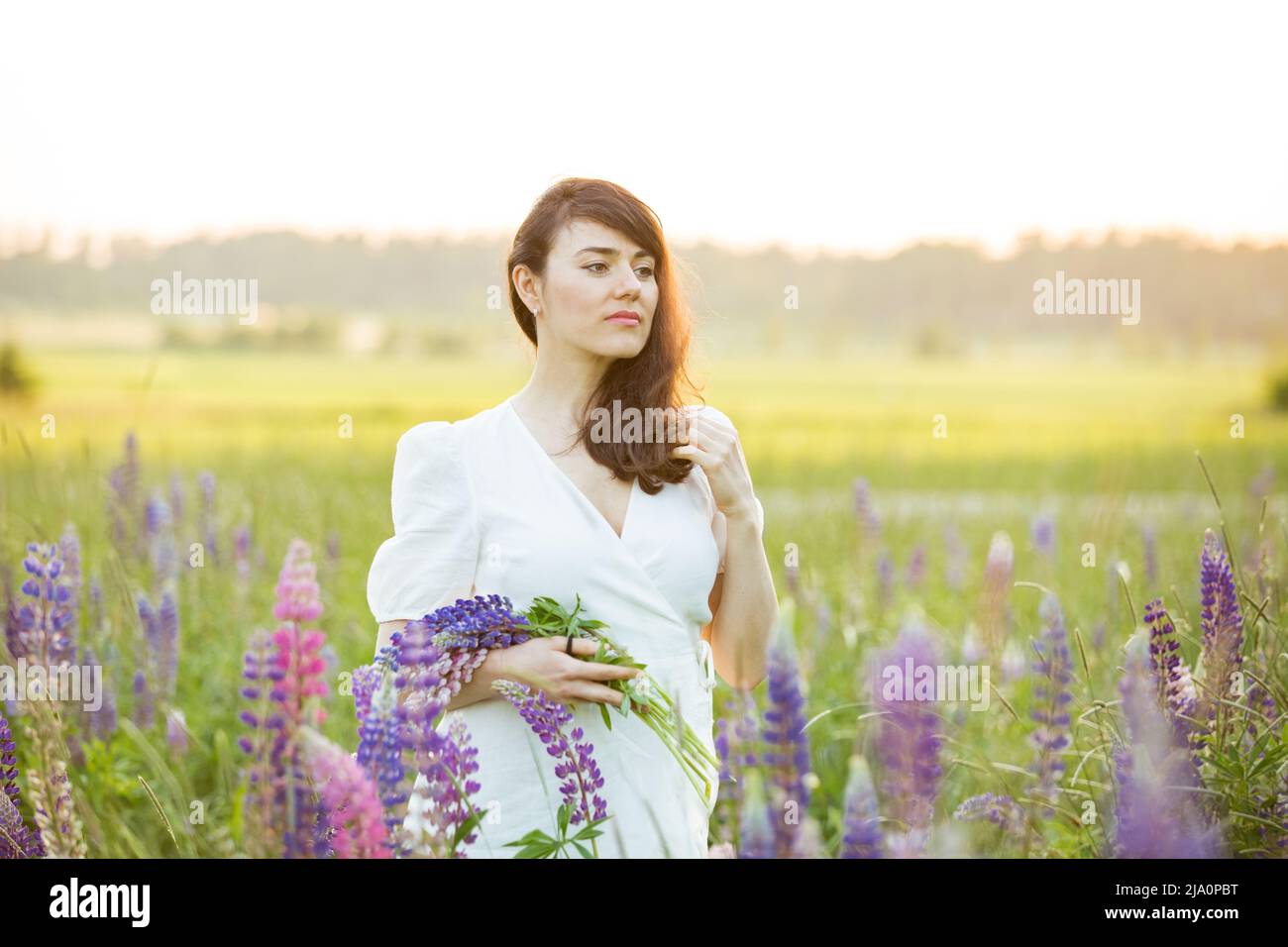 Beautiful woman in white sundress enjoying the summer nature. Picking ...