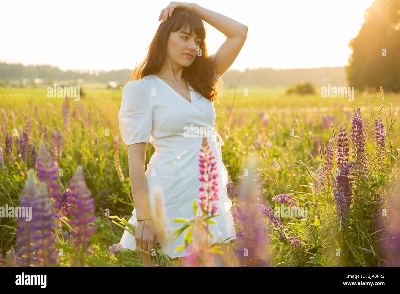 Beautiful woman in white sundress enjoying the summer nature. Picking ...