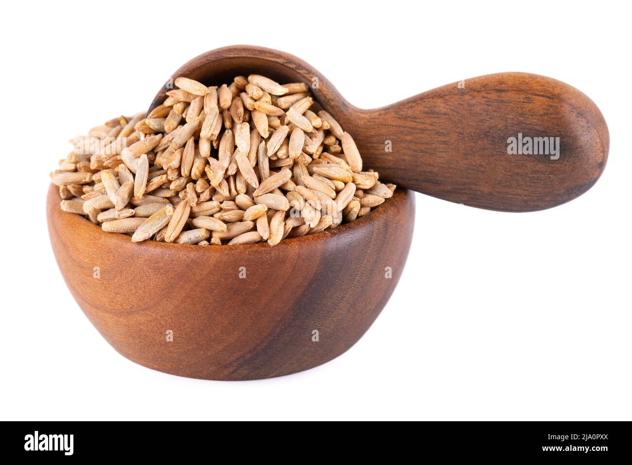 Rye grains isolated on white background. Pile of rye malt seeds in ...