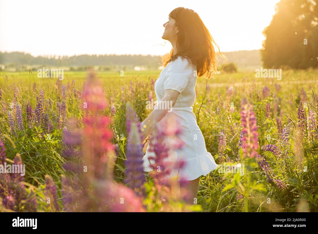 Beautiful woman in white sundress enjoying the summer nature. Picking ...