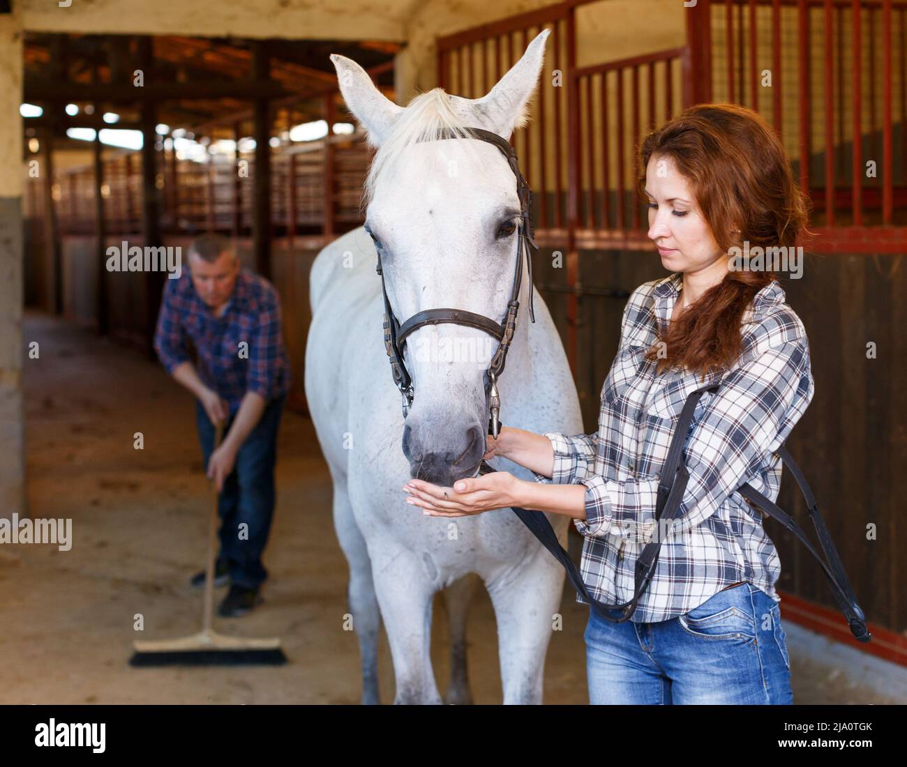 Woman farmer standing with horse, male worker cleaning floor Stock ...