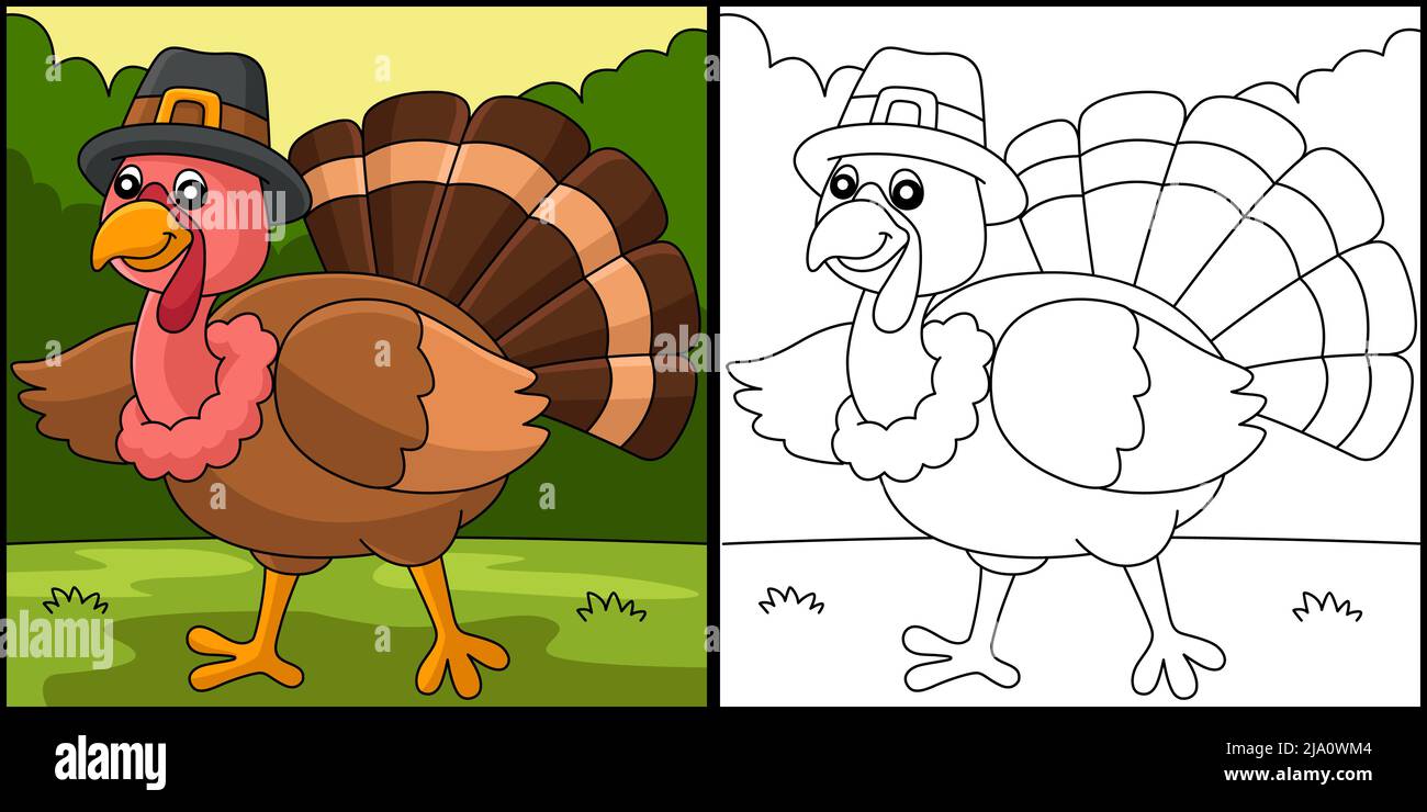 Thanksgiving Turkey Pilgrim Hat Illustration Stock Vector Image & Art ...