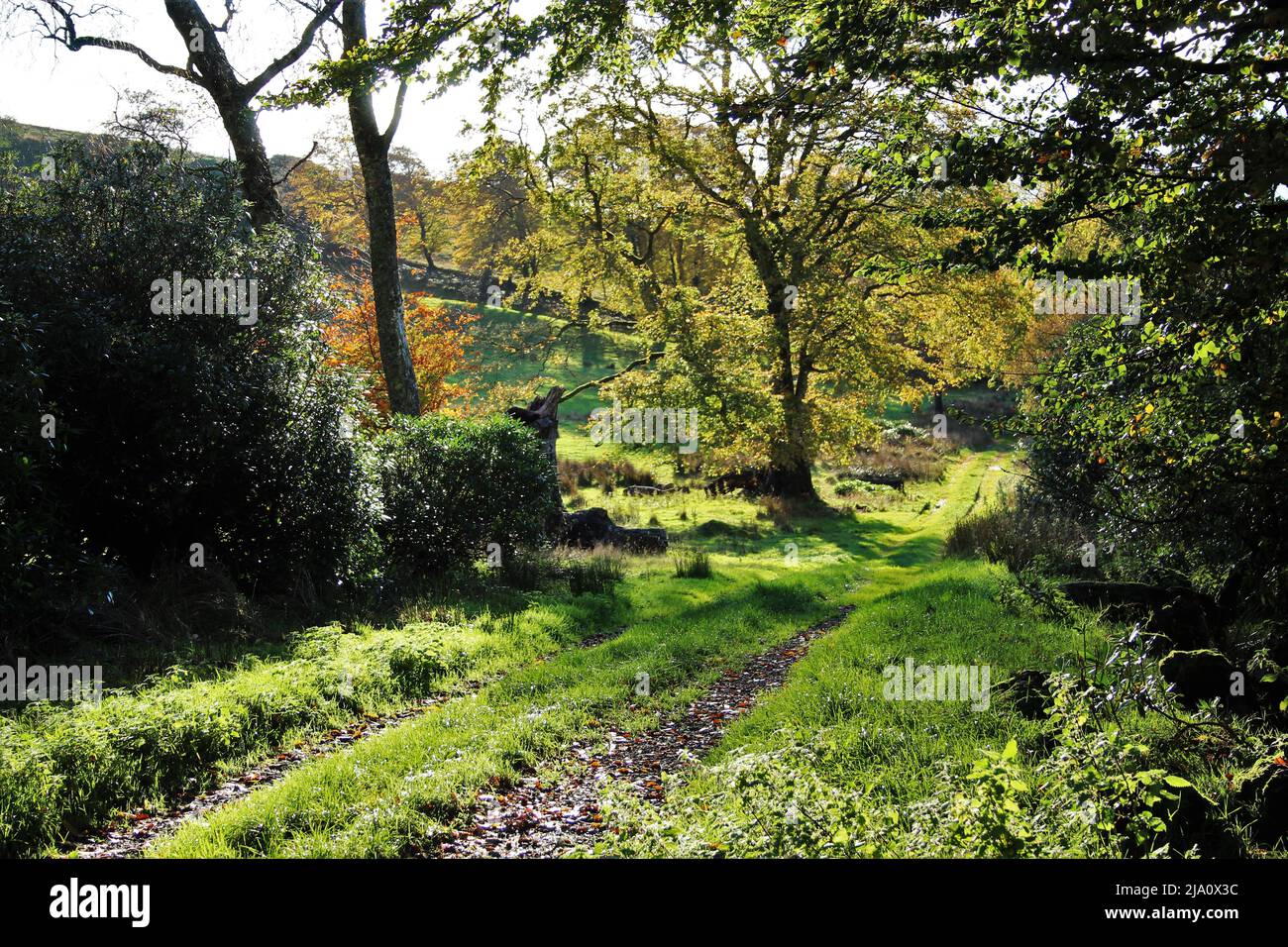 Dalmellington village hi-res stock photography and images - Alamy