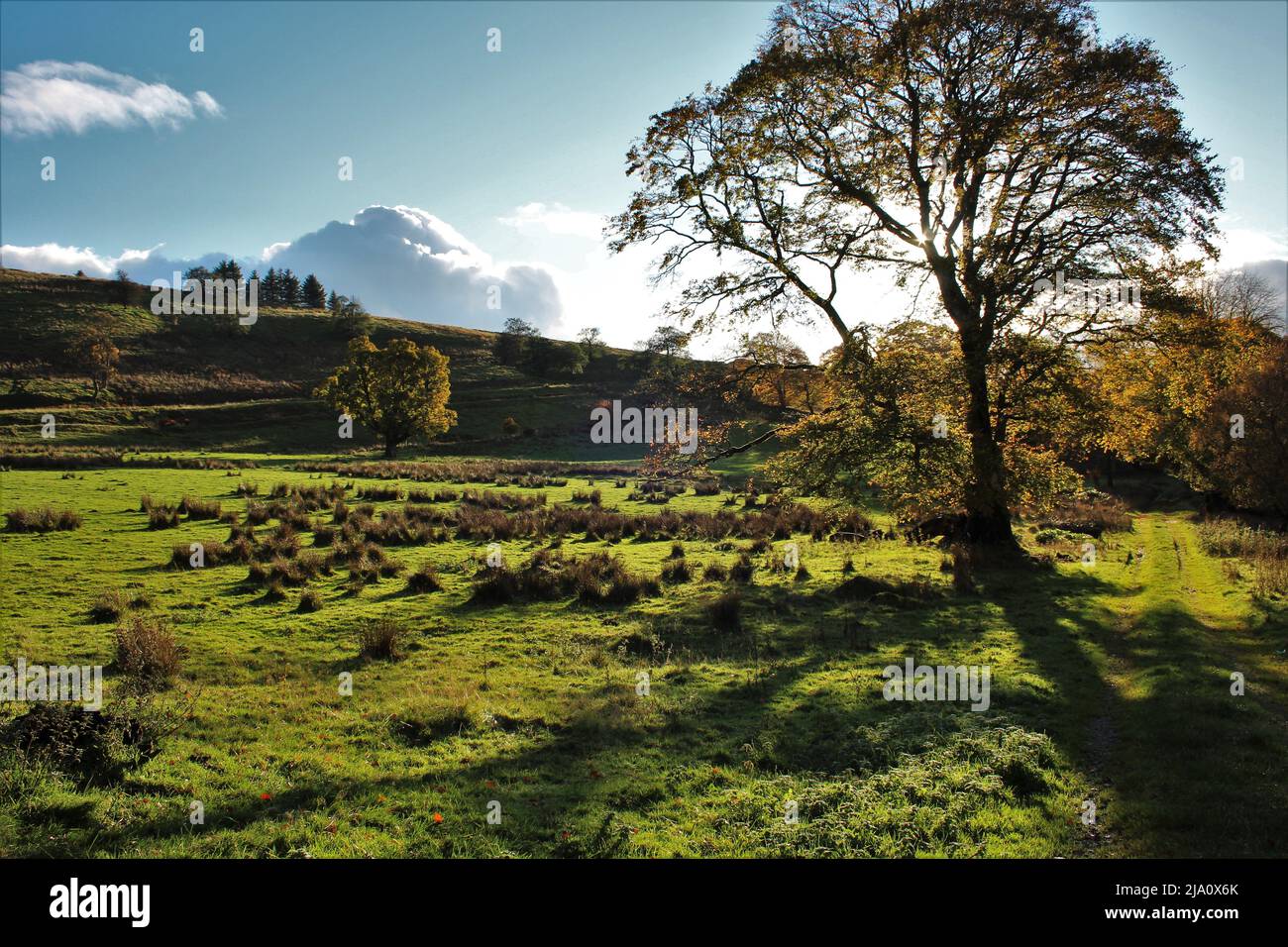 Dalmellington village hi-res stock photography and images - Alamy