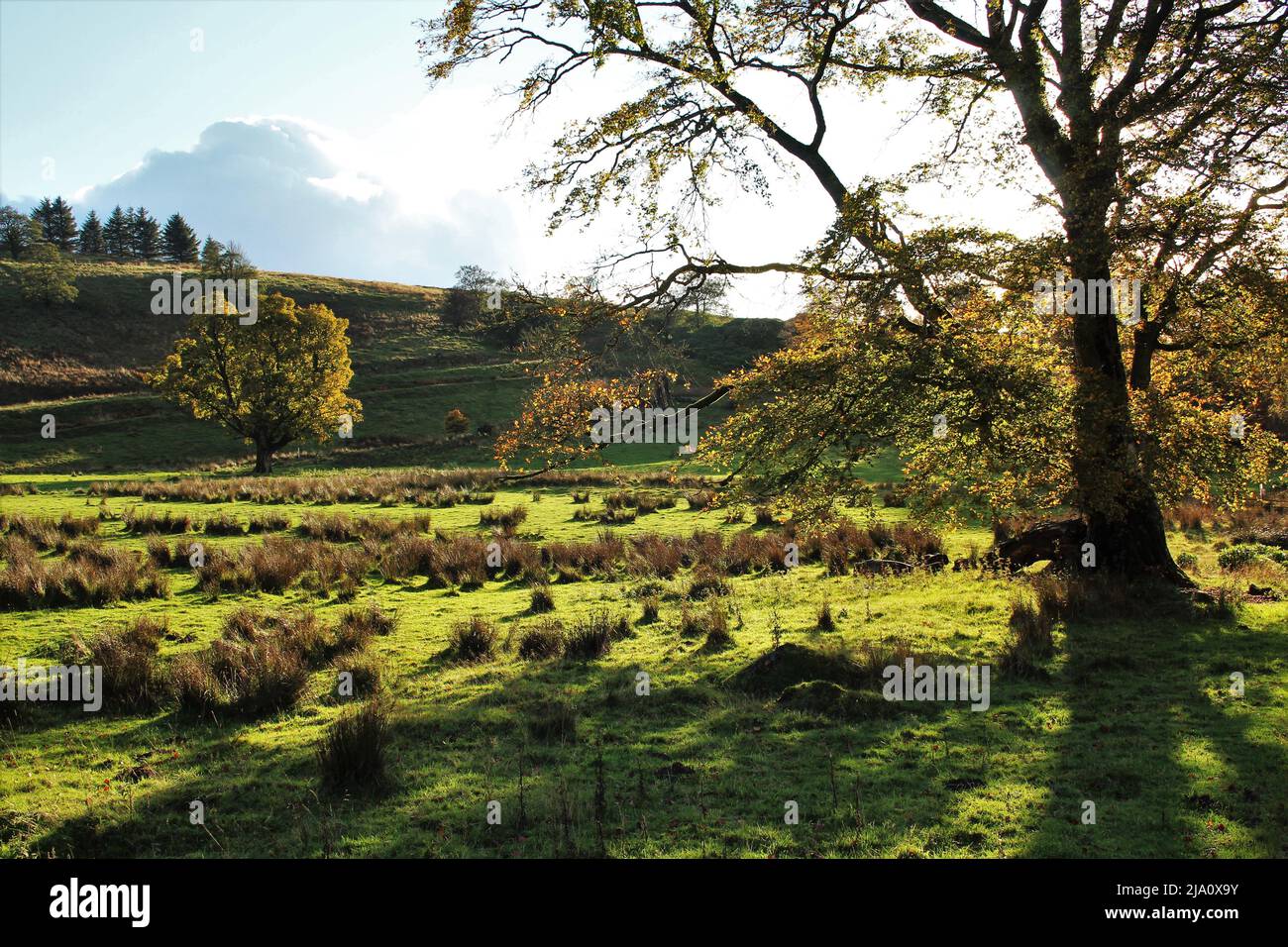 Dalmellington village hi-res stock photography and images - Alamy