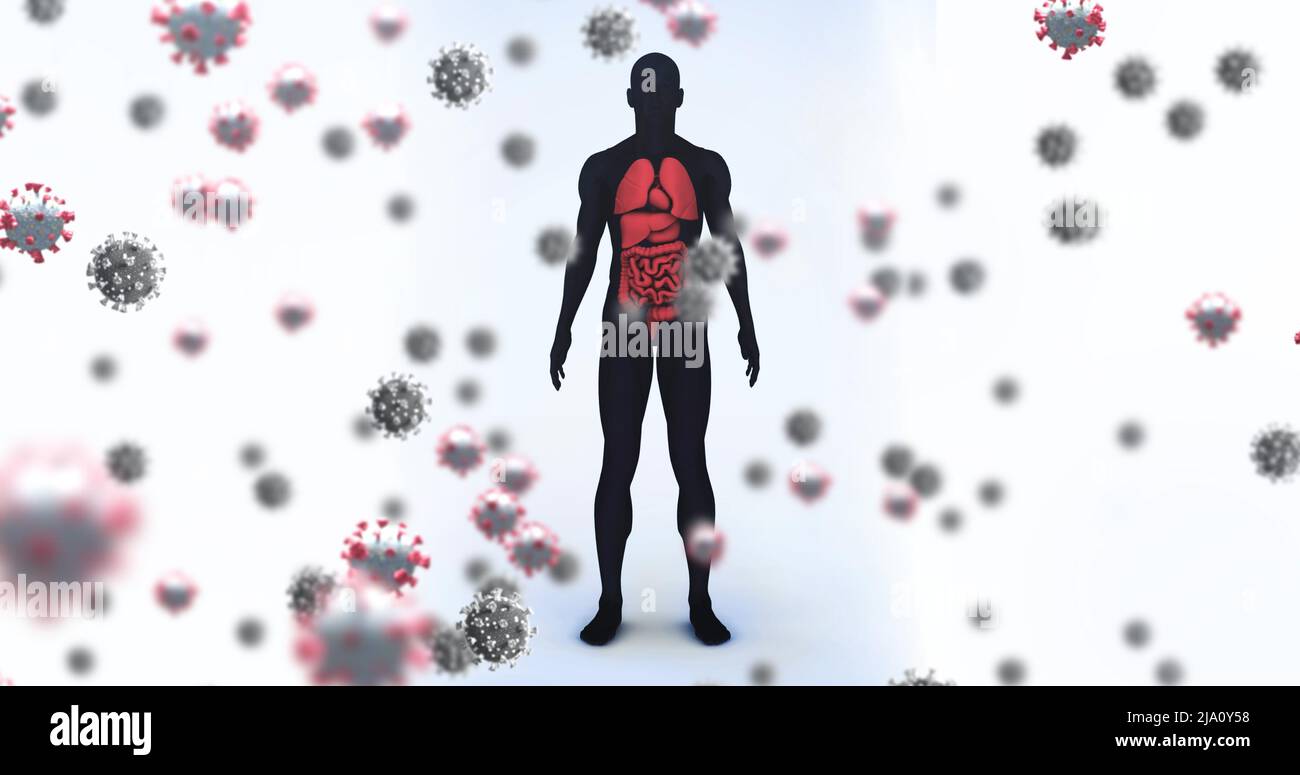 Image of falling viruses cells over human body model Stock Photo - Alamy
