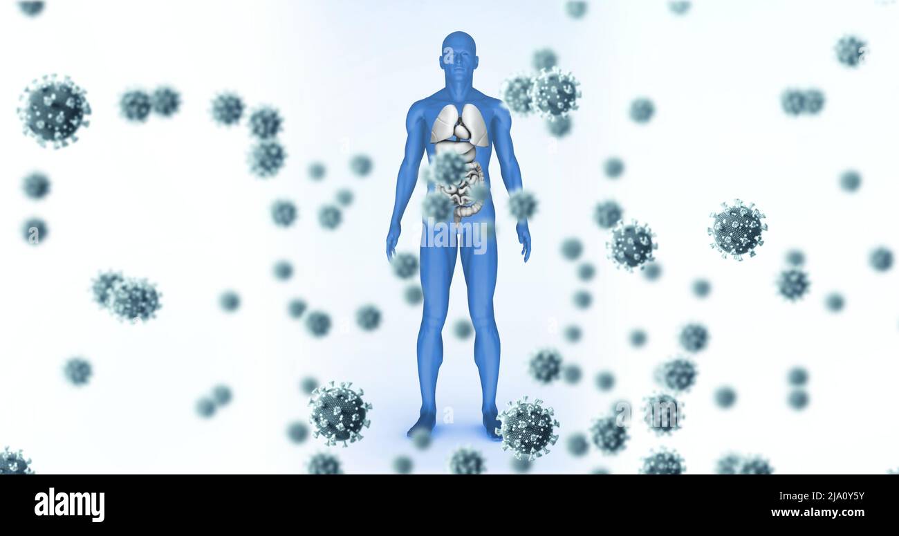 Image of falling viruses cells over human body model Stock Photo - Alamy