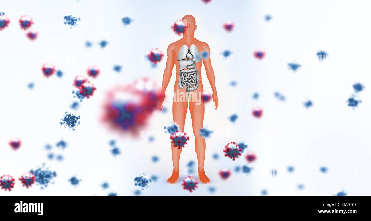 Image of falling viruses cells over human body model Stock Photo - Alamy