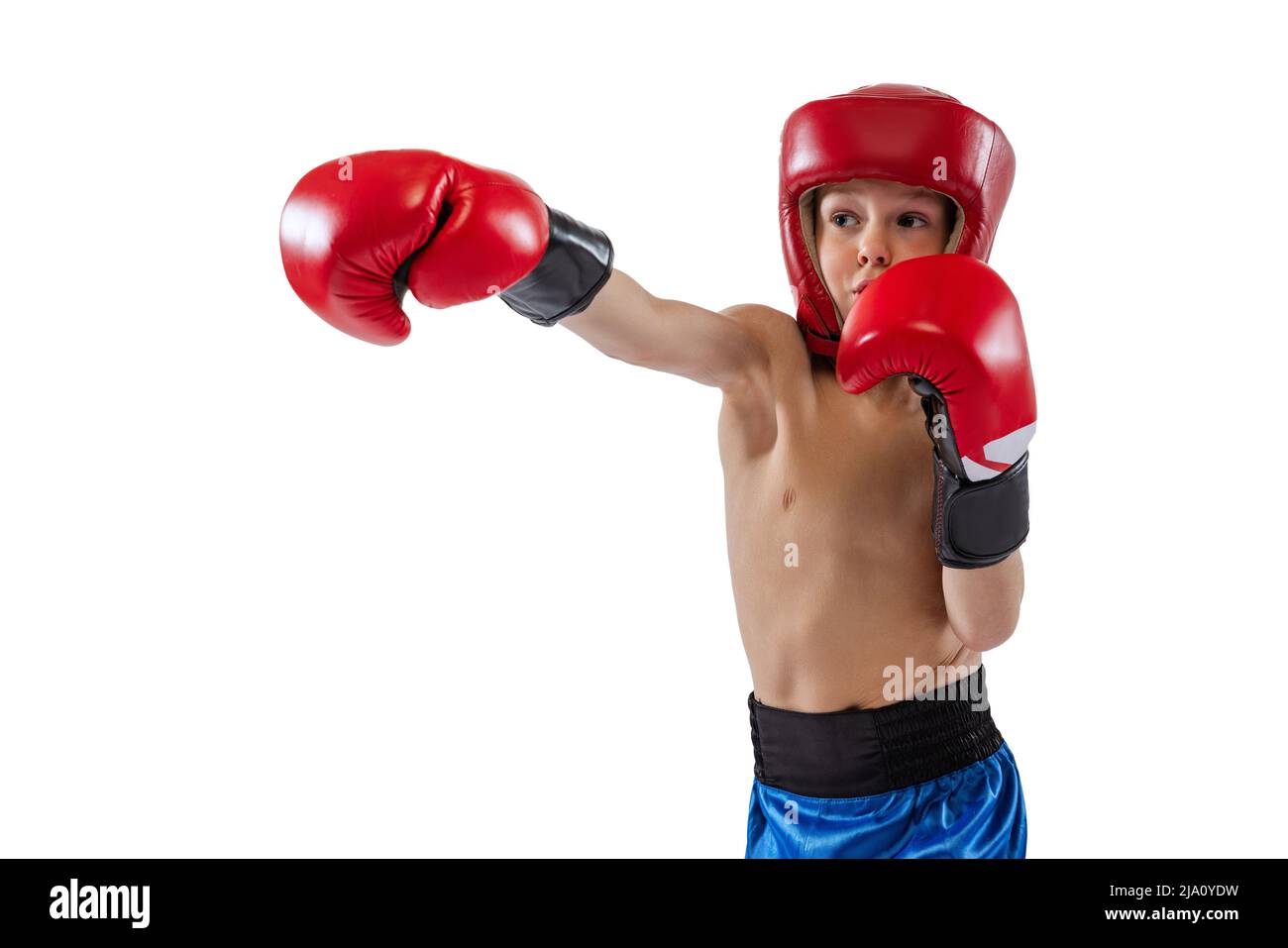 Portrait of little boy, kid in boxer gloves and shorts training ...