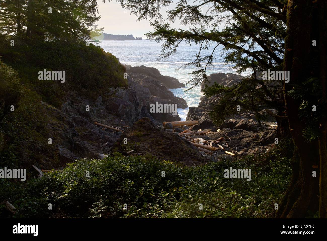 Pacific Northwest Coastal Surge Channel. A narrow surge channel in a ...