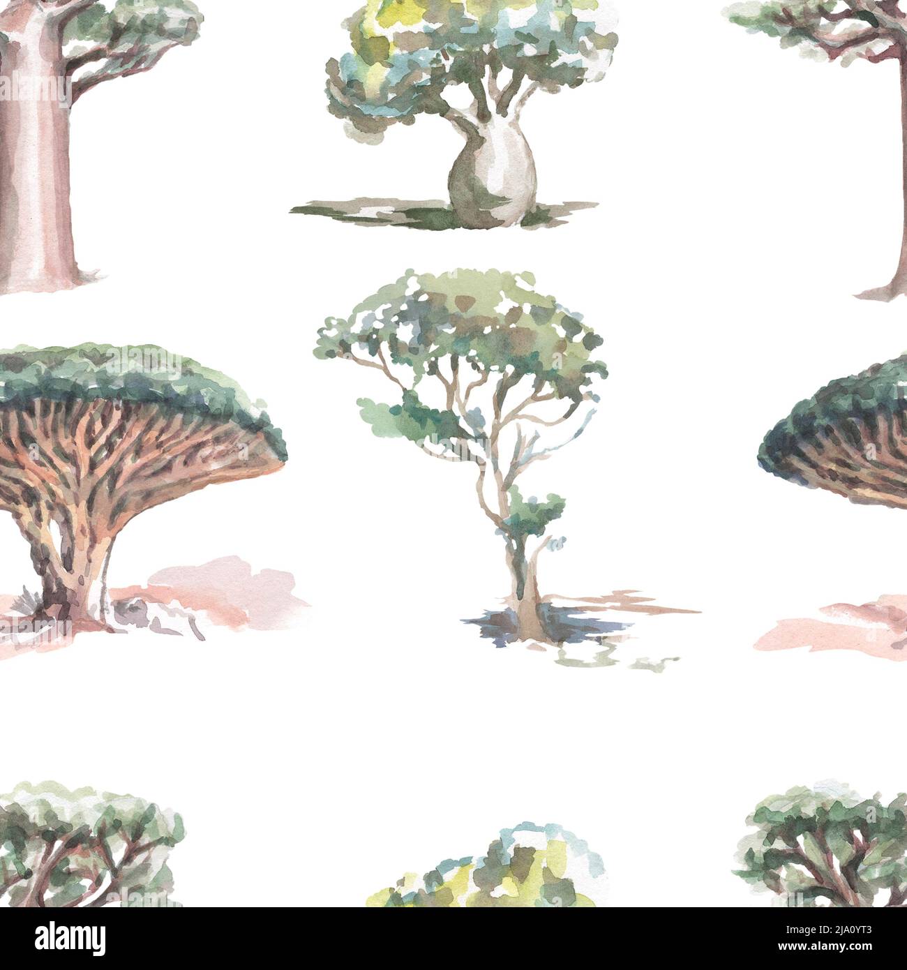 Trees plants forest australia nature wild watercolor illustration hand ...