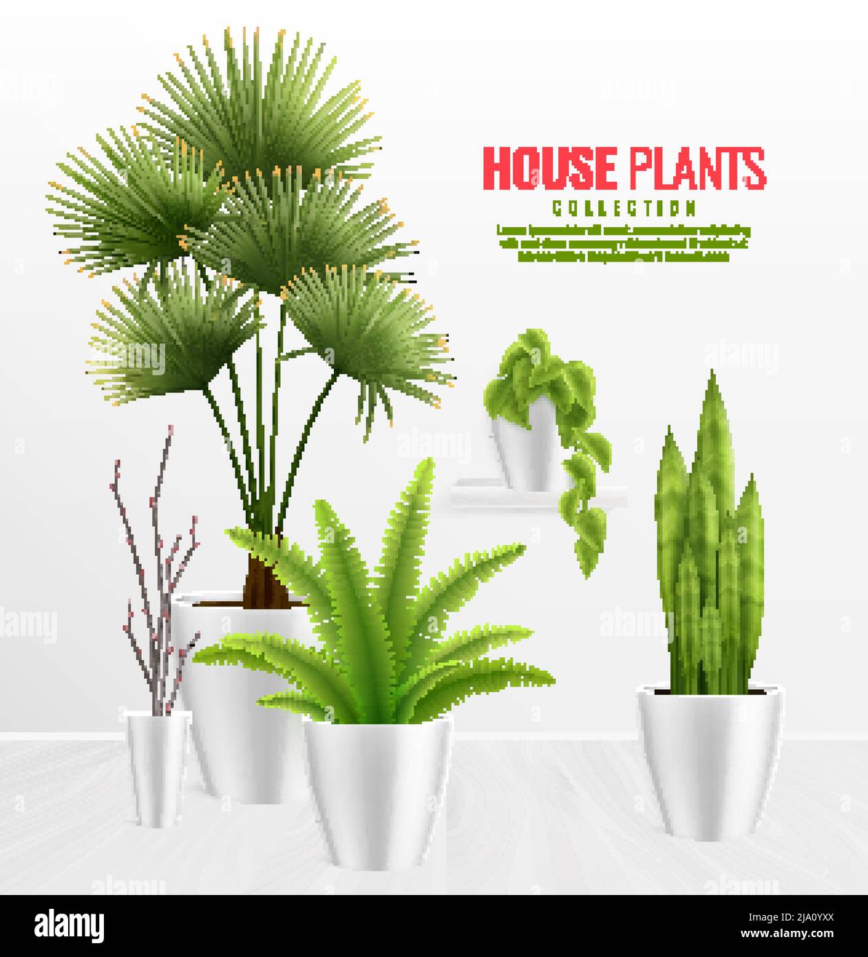House plants in pot composition realistic concept with plants ...