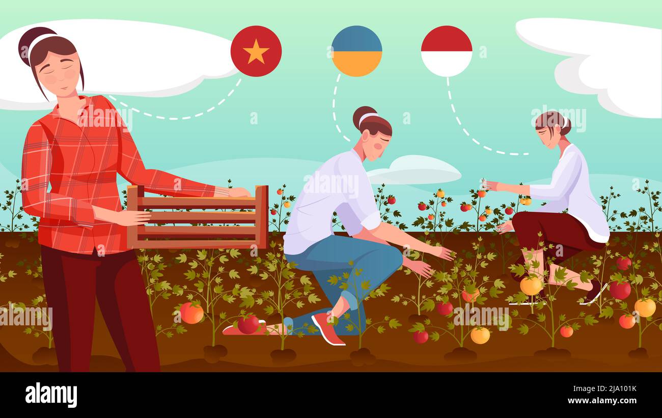 Female migrant workers from different countries gathering crops on ...